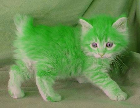 Make an Image Green in Photoshop : 6 Steps - Instructables