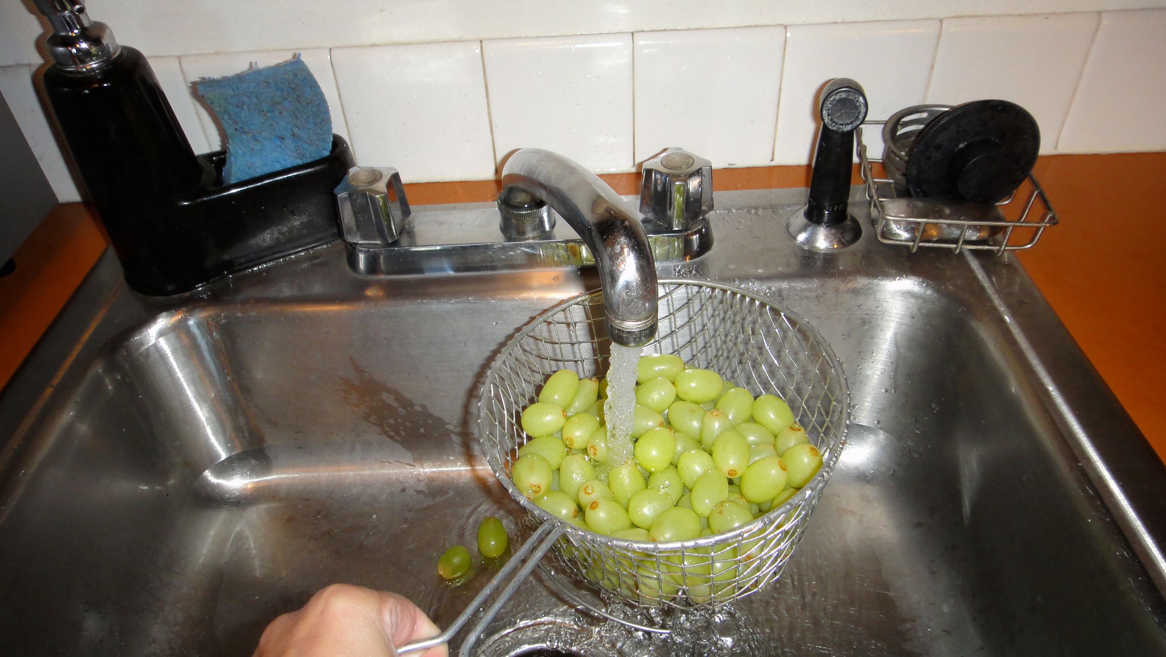 Make Raisins With a Dehydrator : 4 Steps (with Pictures) - Instructables