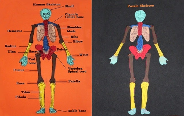 Puzzle Skeleton : 11 Steps - Instructables