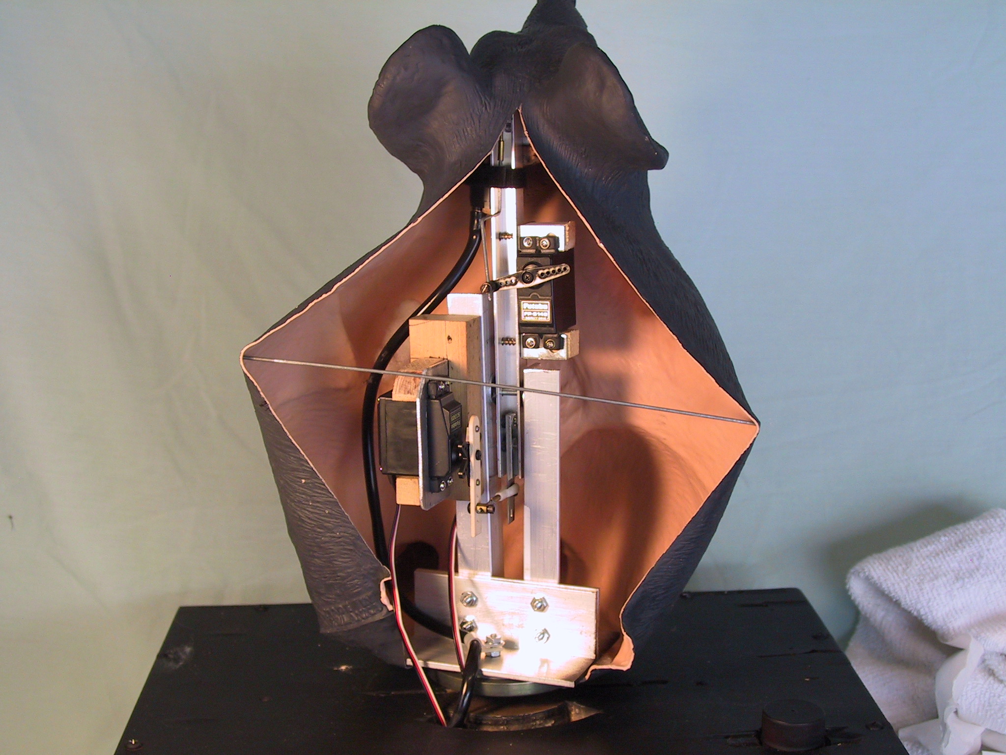 Animatronic Rat : 7 Steps (with Pictures) - Instructables