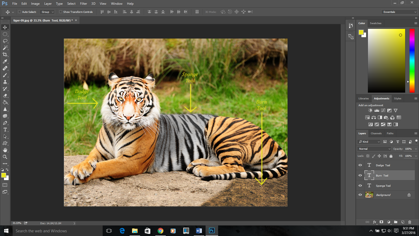 Learning the Basics of Adobe Photoshop : 6 Steps - Instructables