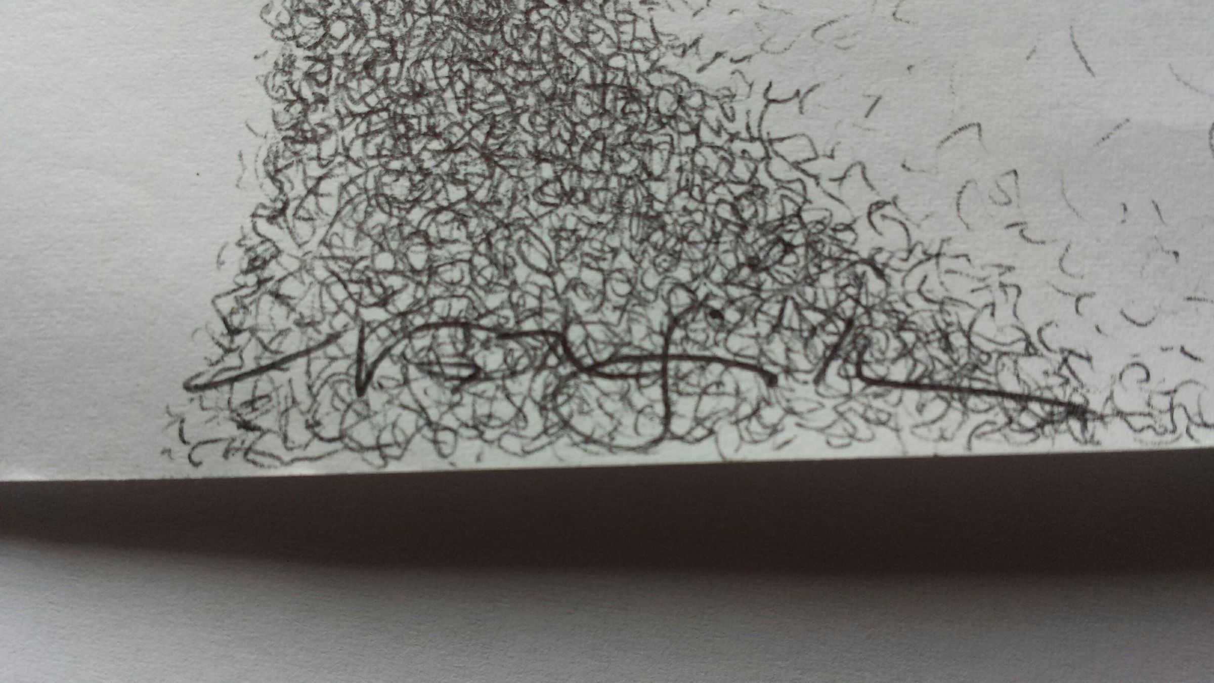 Ballpoint Pen Art Black