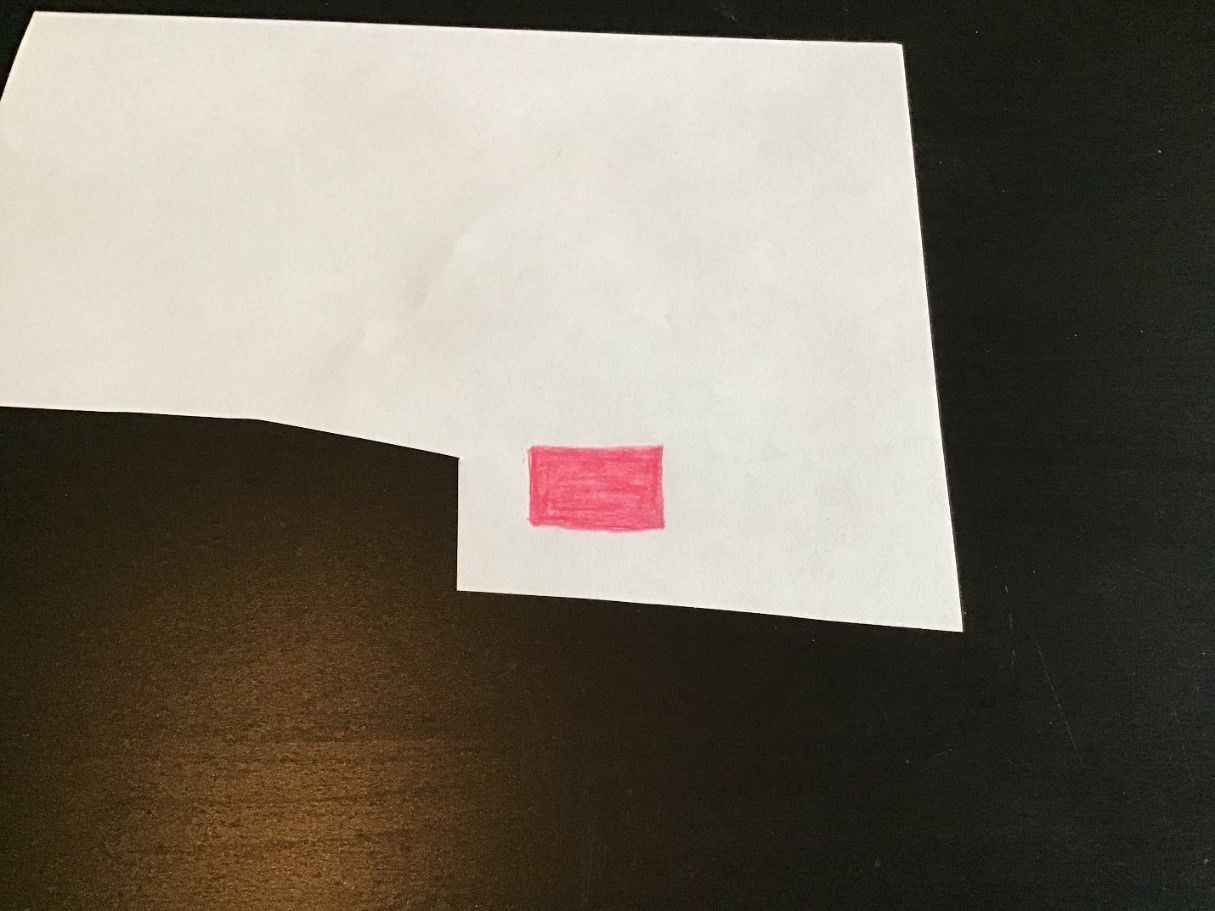 Build a Model of a Human Cell : 8 Steps (with Pictures) - Instructables