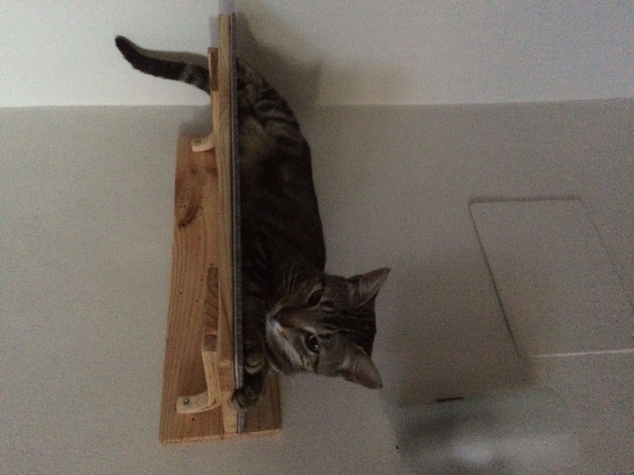 Cats' Corner : 10 Steps - Instructables