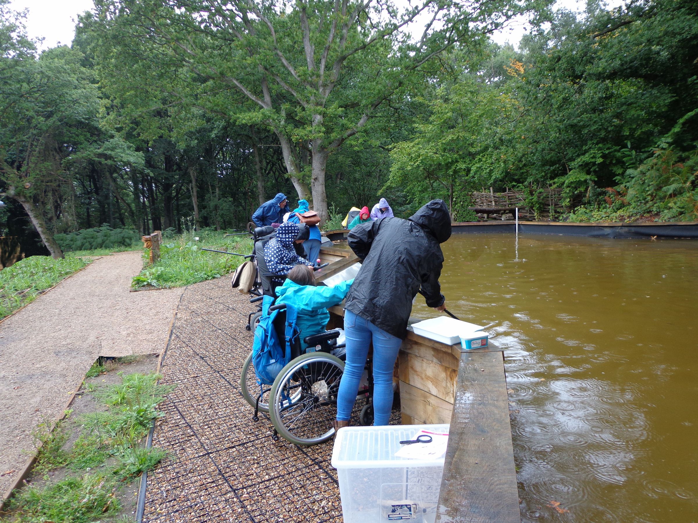 Raised Pond for Wheelchair Users : 9 Steps (with Pictures) - Instructables