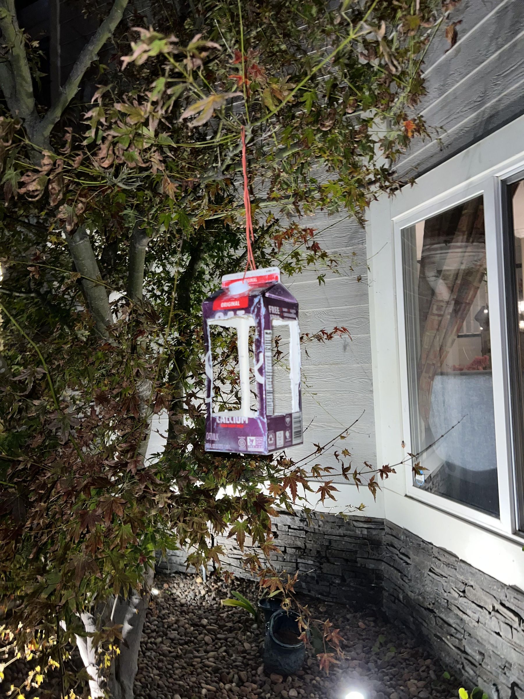 Milk Carton to Simple Bird Feeder : 5 Steps (with Pictures) - Instructables