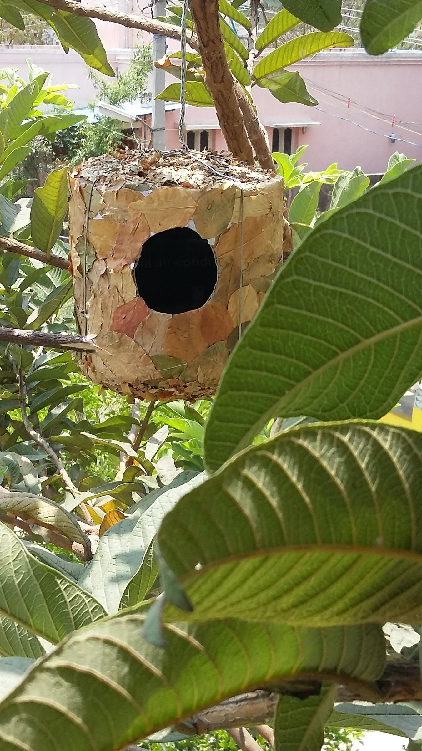 Cardboard Birds Nest Box : 12 Steps (with Pictures) - Instructables