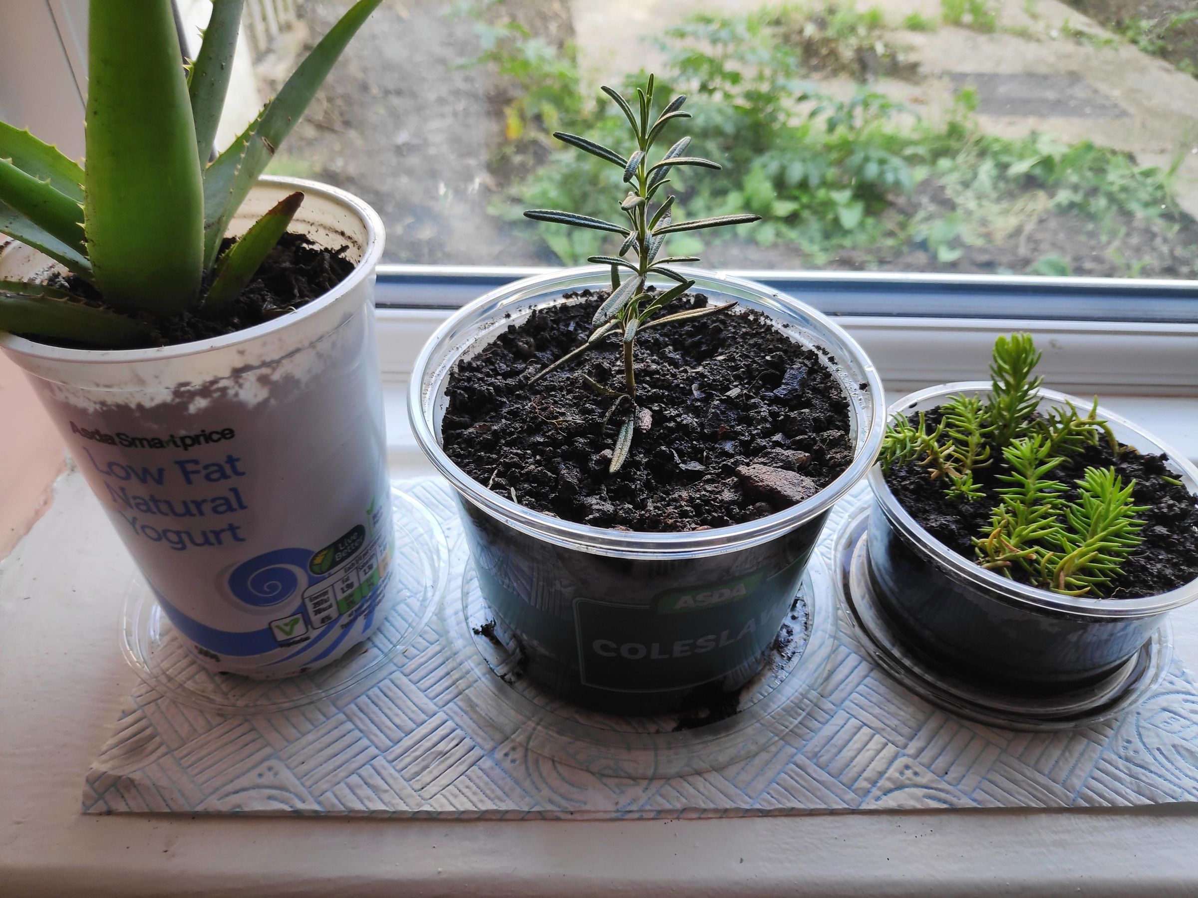 Free Plant Pots From Recycled Plastic Food Containers : 4 Steps ...