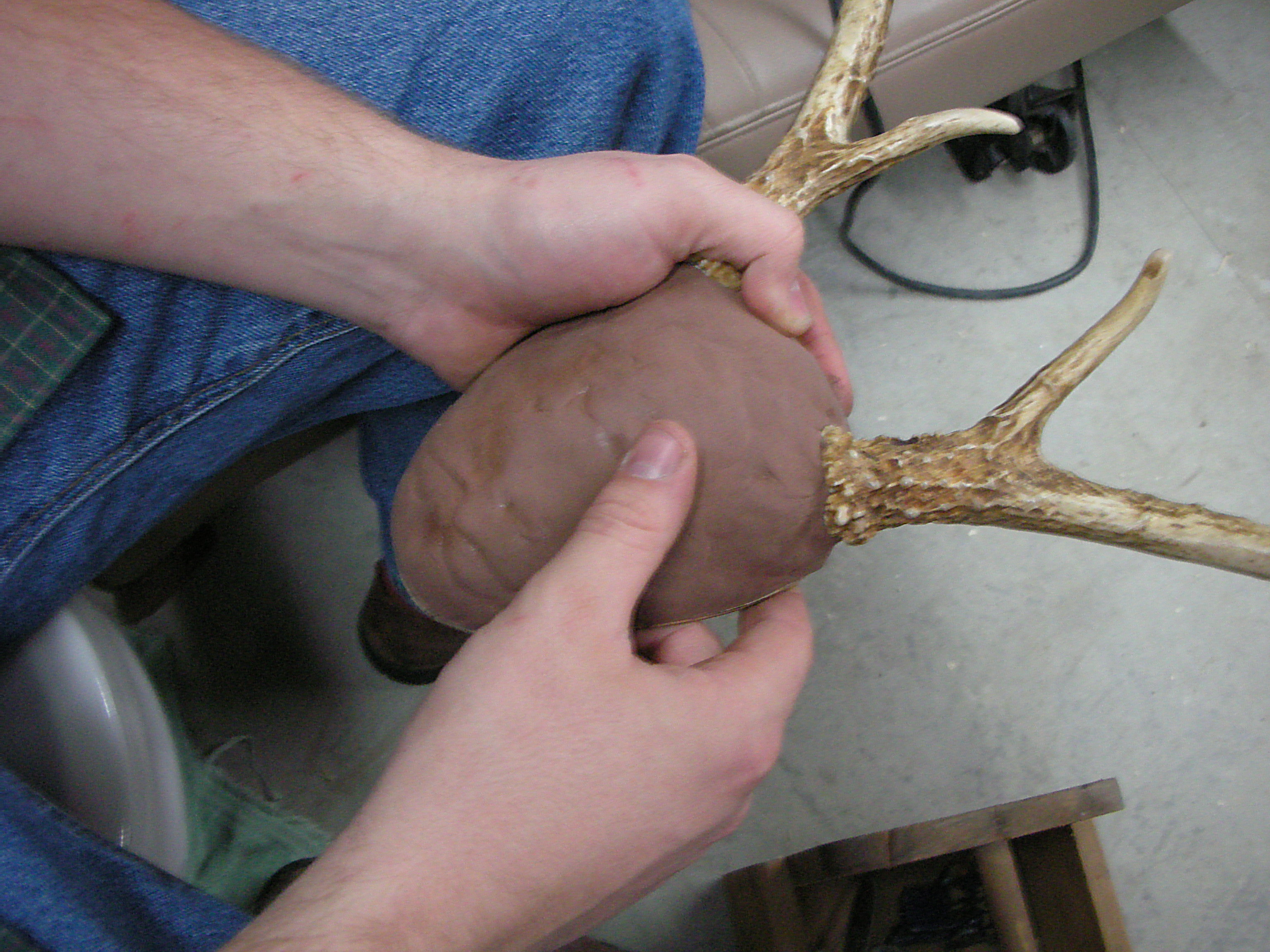 Mounting Deer Antlers : 10 Steps (with Pictures) - Instructables
