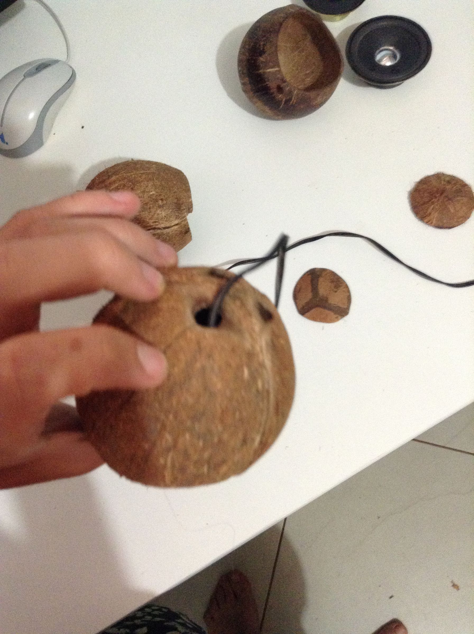 Coconut Speaker. : 4 Steps (with Pictures) - Instructables