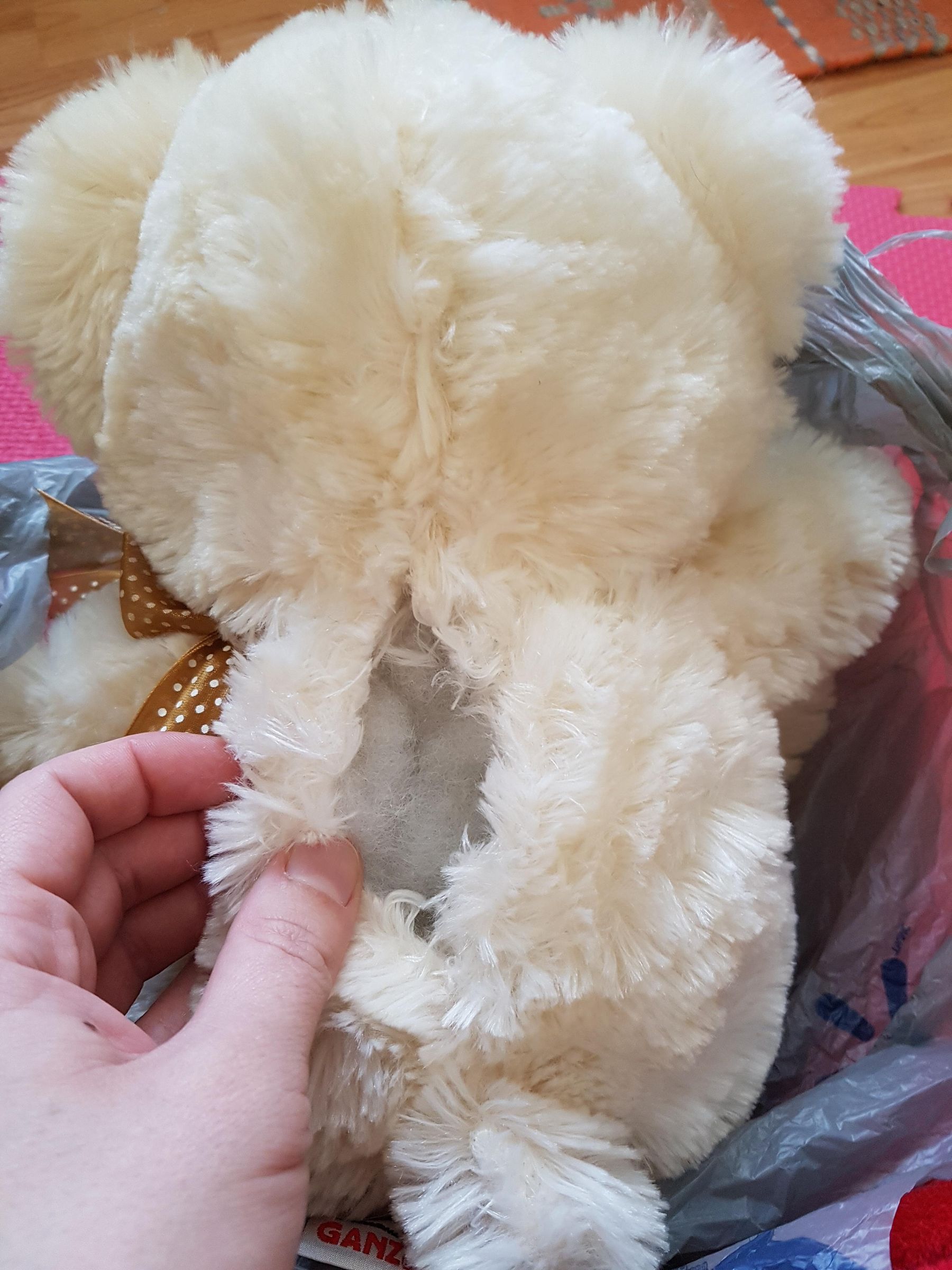 Turn Your Pet Into a Real Life Teddy Bear : 7 Steps (with Pictures ...