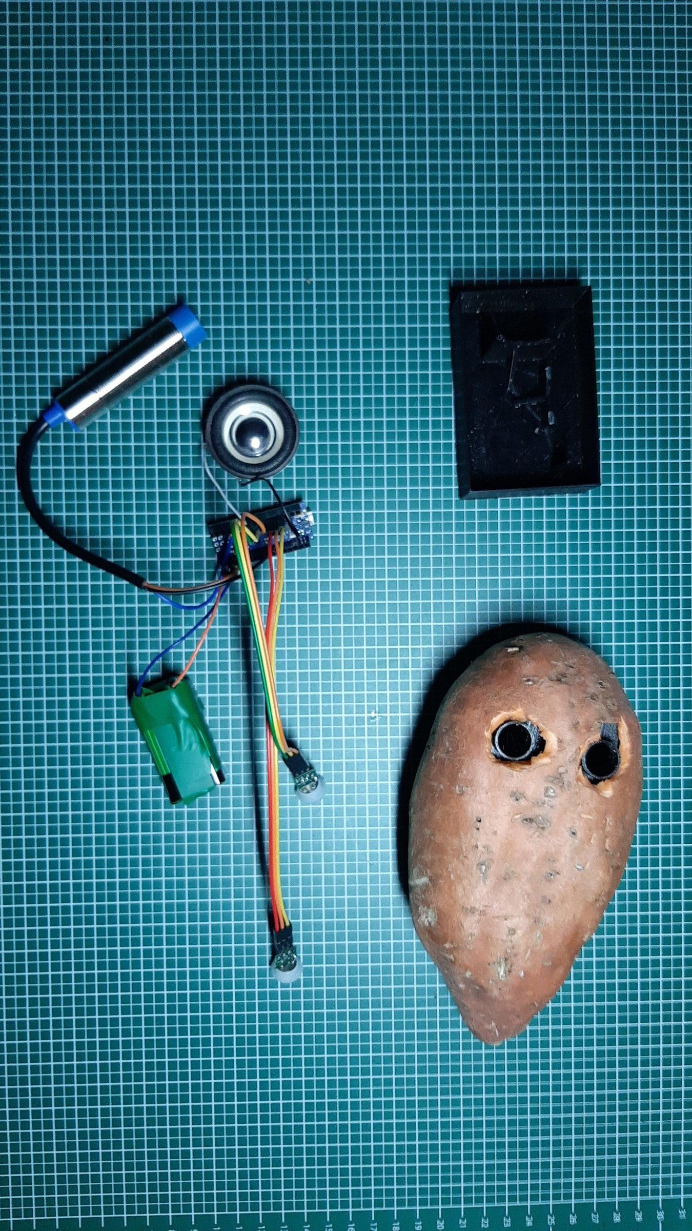 Screaming Potato : 16 Steps (with Pictures) - Instructables