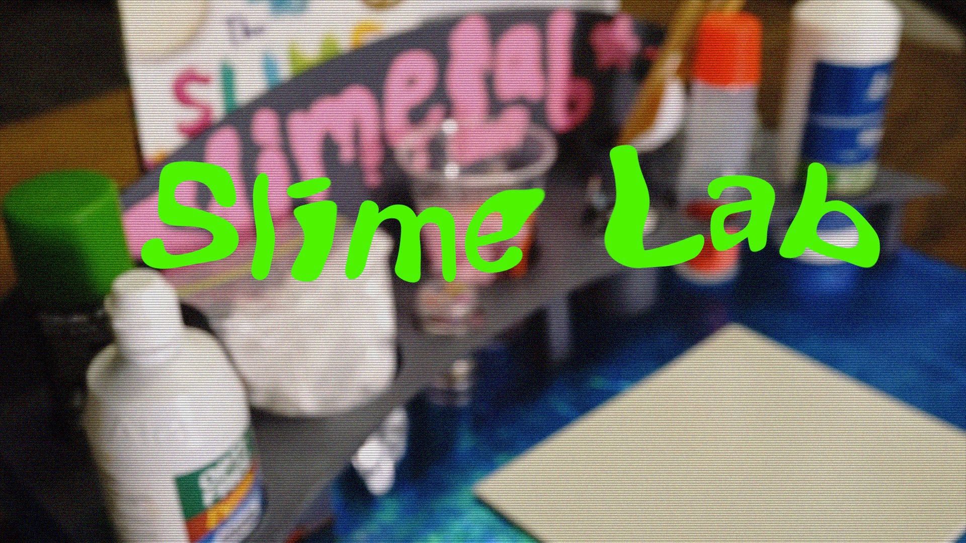 Slime Lab - the Ultimate Slime Organiser! : 8 Steps (with Pictures ...