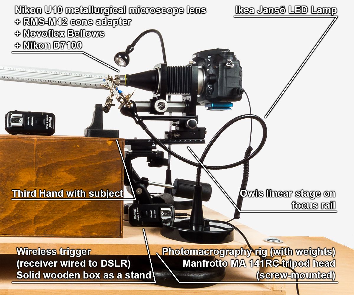 DSLR Macro Photography: a Comprehensive Overview : 22 Steps (with ...