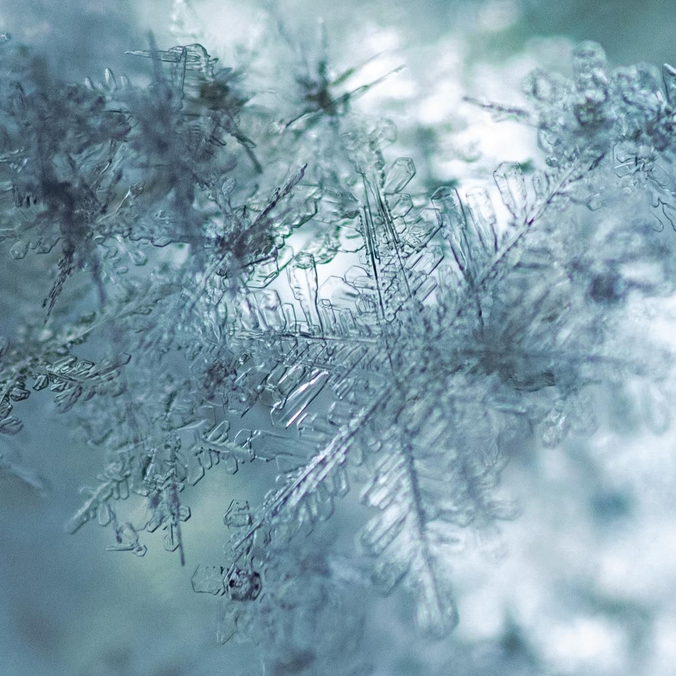 Ice Photography: Mind-blowing Macro : 14 Steps (with Pictures ...