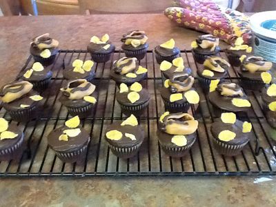 Cockroach Cupcakes (with Pictures) - Instructables