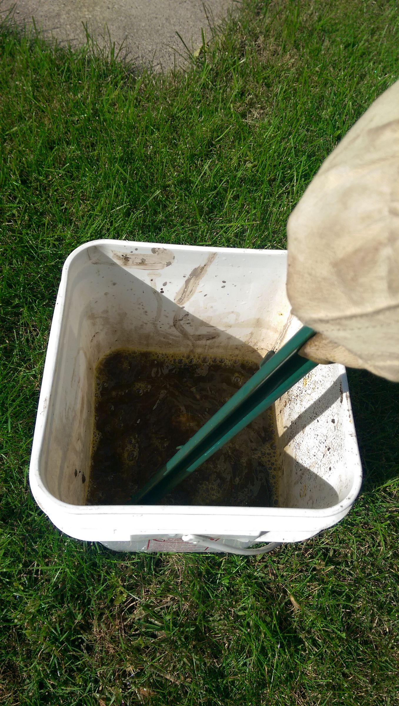 Forage and Process Your Own Black Walnuts! : 6 Steps (with Pictures ...