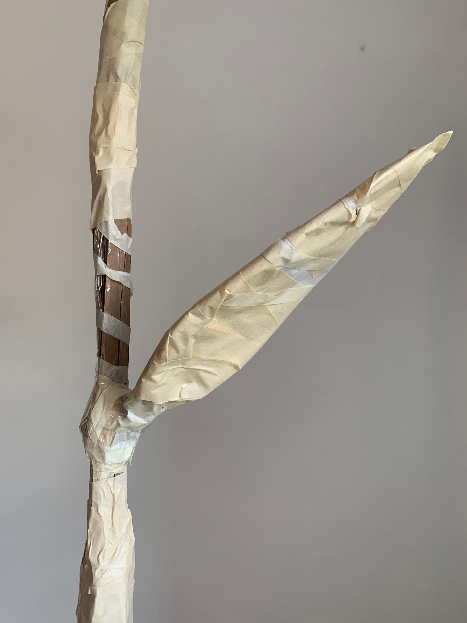 Supersized Paper-Mache House Plant : 8 Steps (with Pictures ...