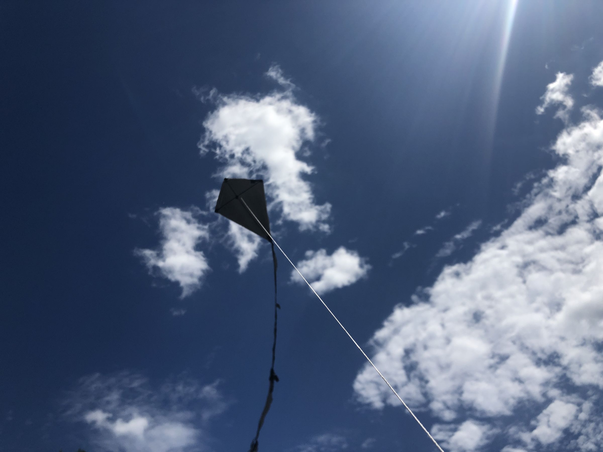 How to Make a Basic Kite : 7 Steps (with Pictures) - Instructables