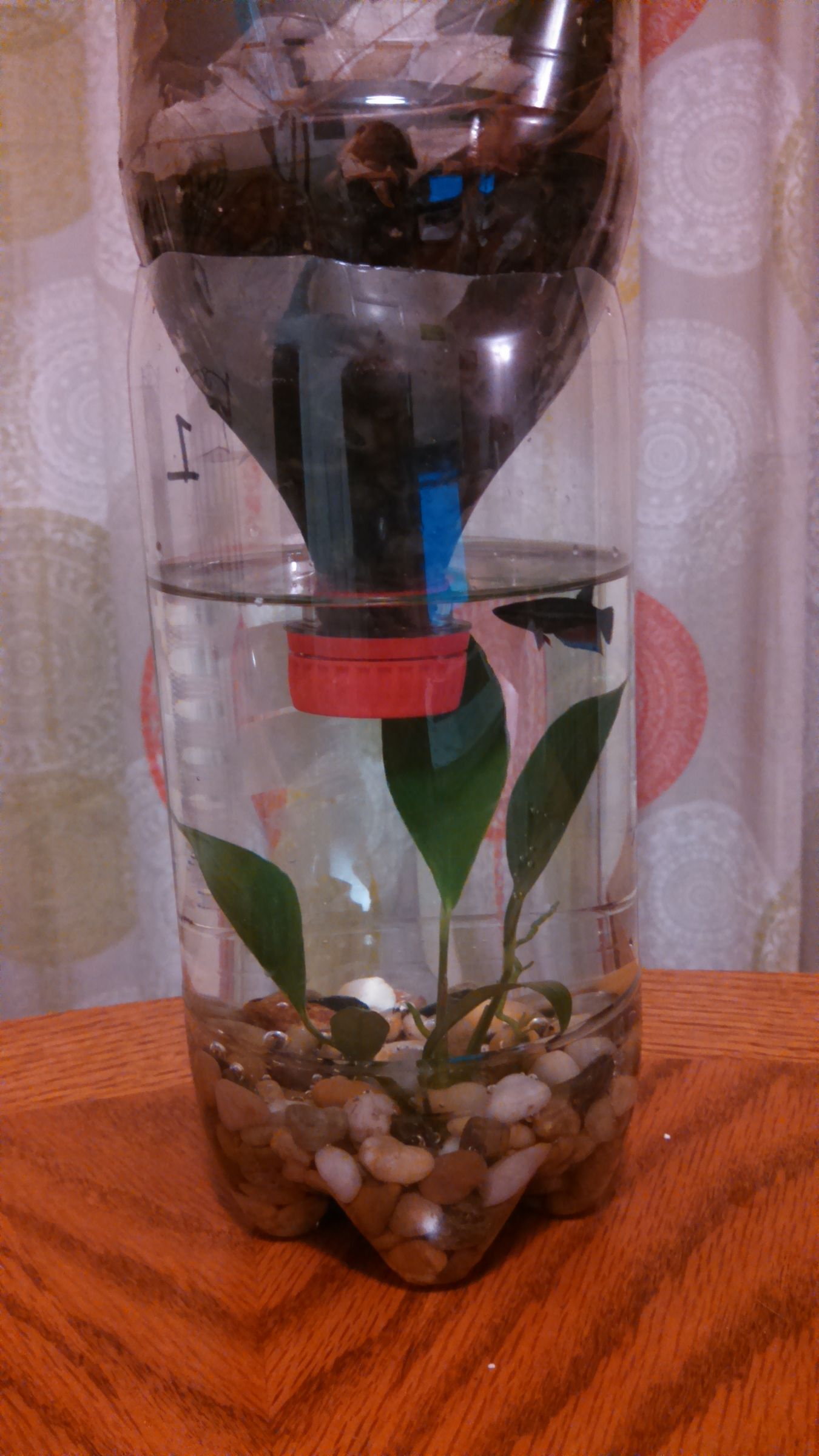 Eco-Column : 8 Steps (with Pictures) - Instructables