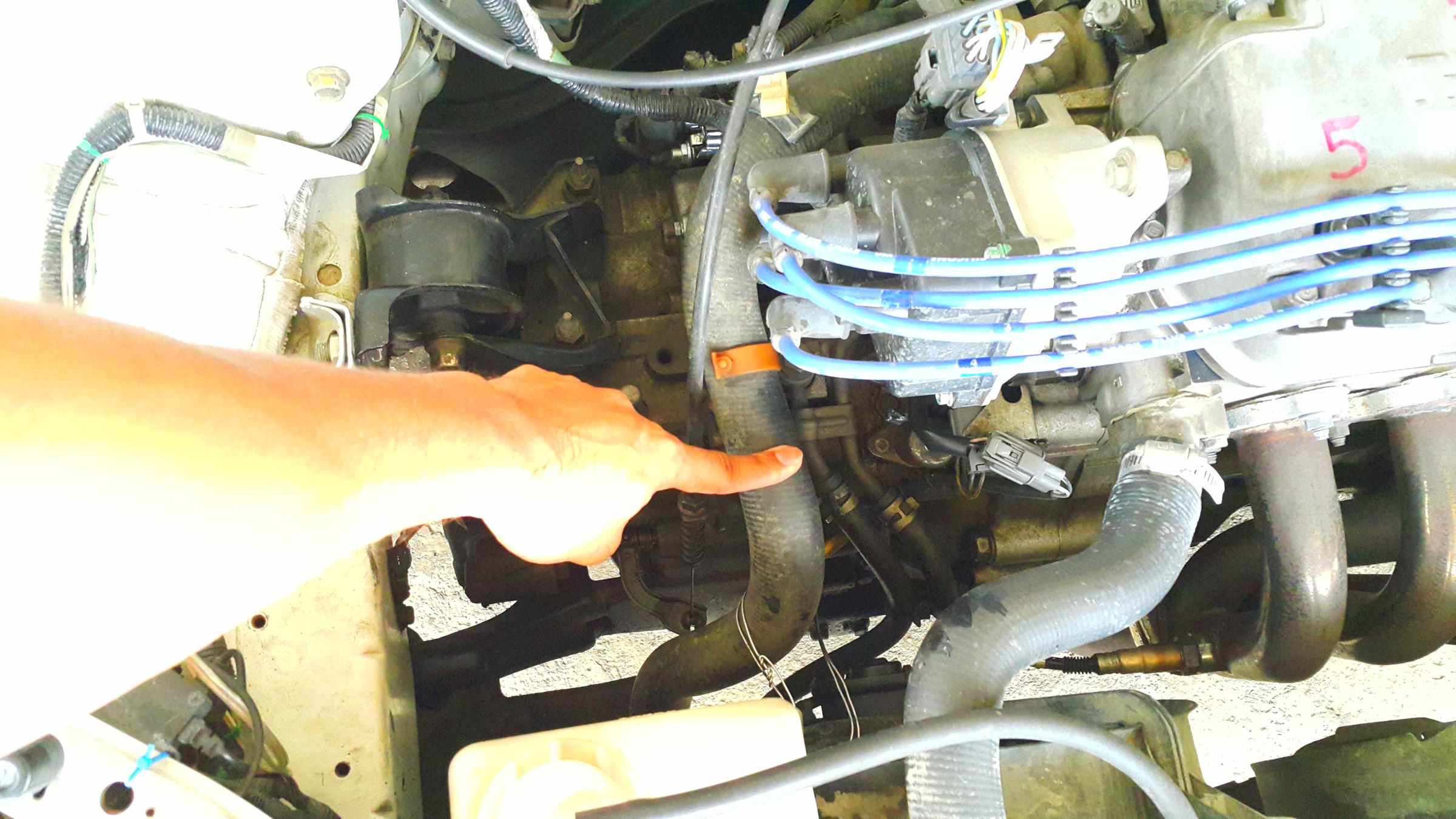 Installing Silicone Radiator Hoses! : 4 Steps (with Pictures ...