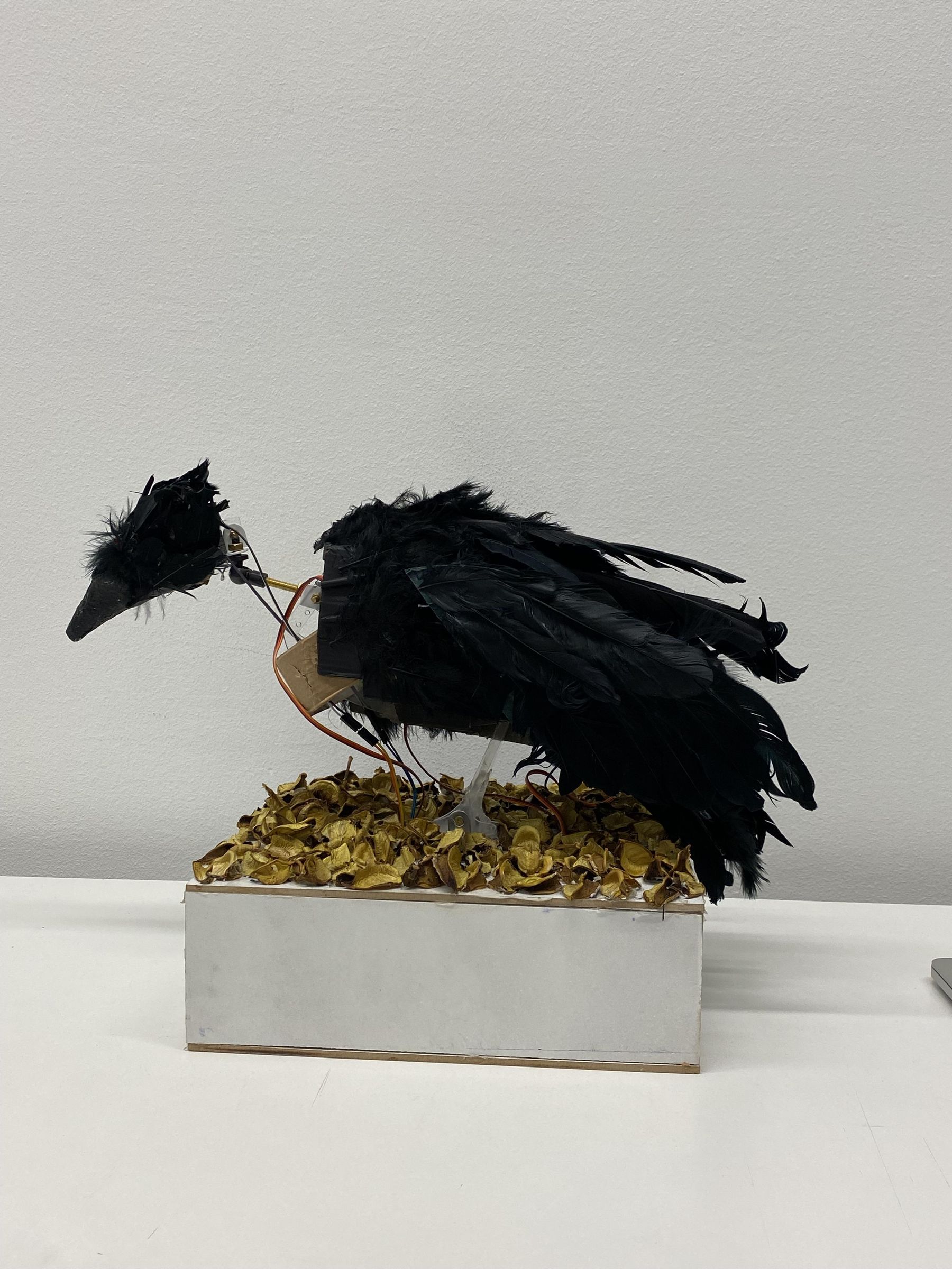 MagicRaven : 4 Steps - Instructables