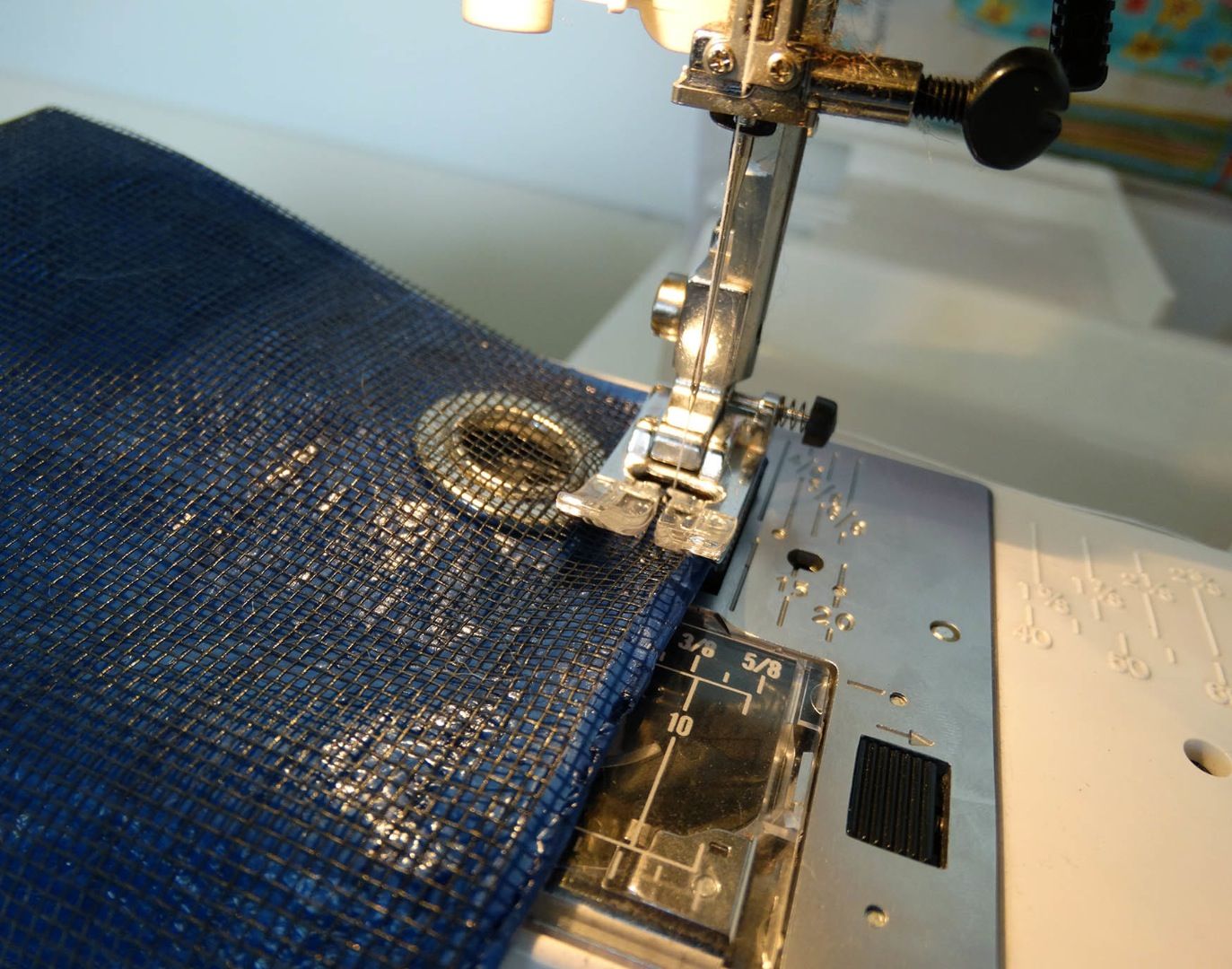 Raising Giant Silk Moths : 15 Steps (with Pictures) - Instructables