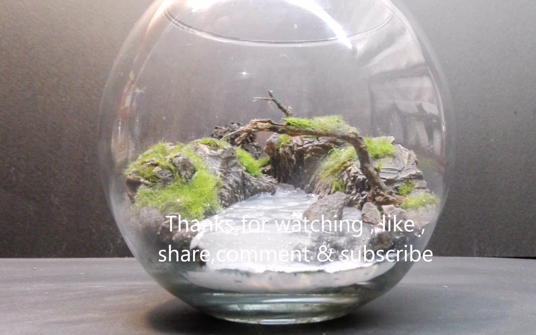 DIY River Terrarium|Diorama|Aquascape : 5 Steps - Instructables