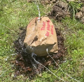 Paper Bag Pig in the Ground : 10 Steps (with Pictures) - Instructables