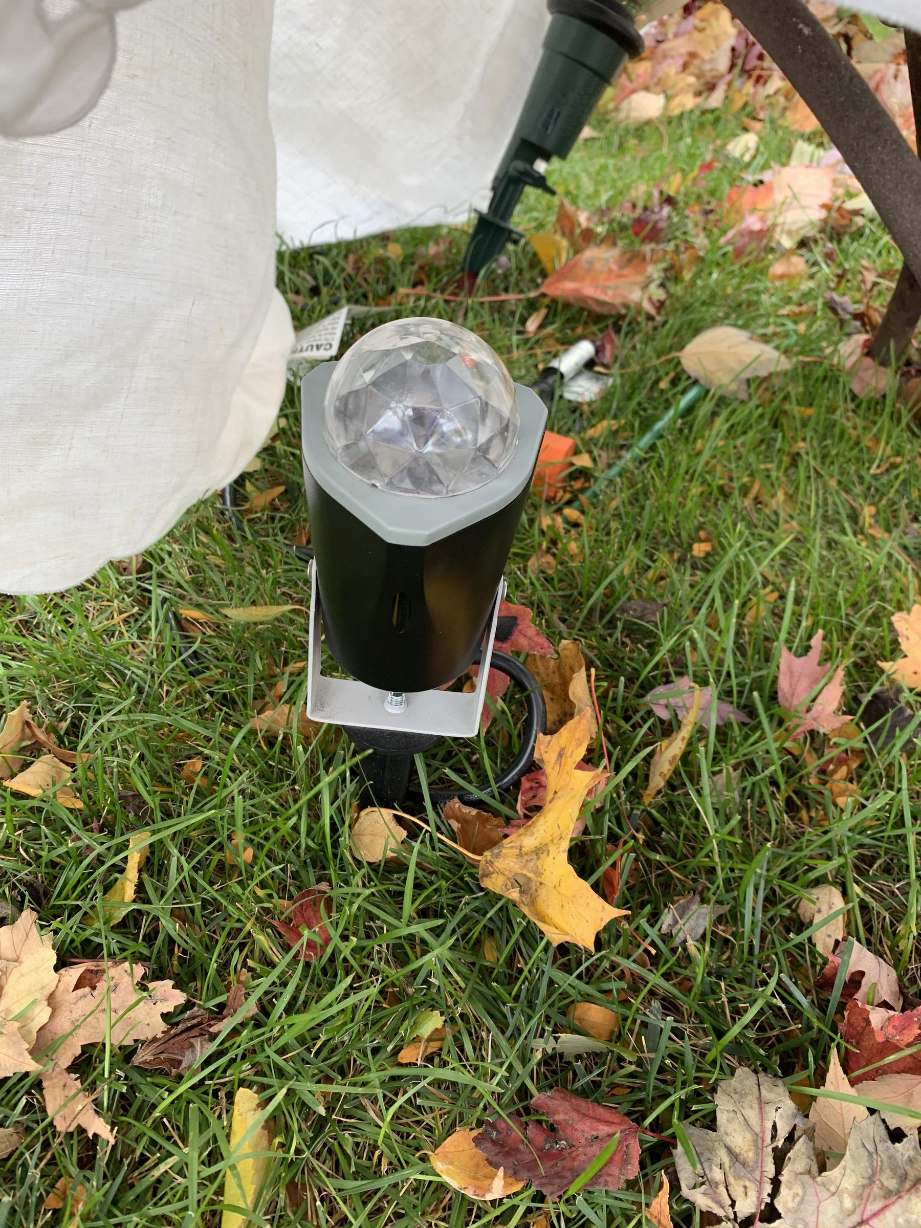 Skeleton Tea Party Decorations : 7 Steps (with Pictures) - Instructables