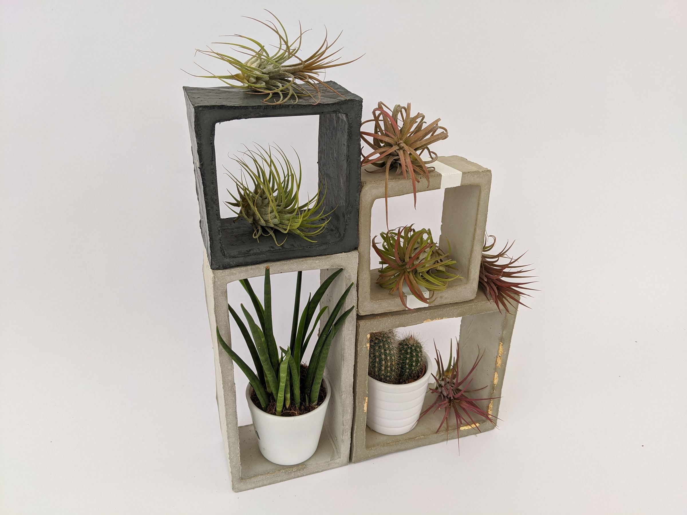 Modular Concrete Planter : 15 Steps (with Pictures) - Instructables