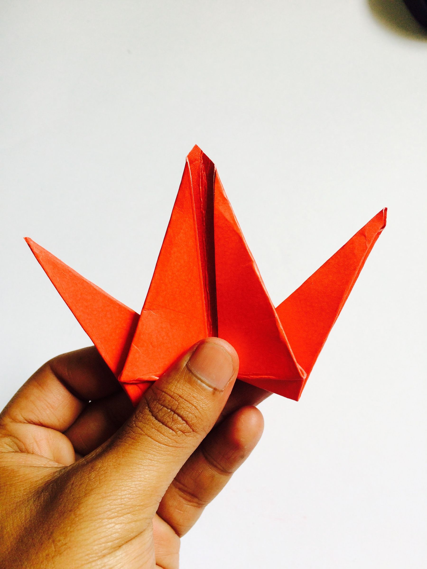 DIY: Flapping Bird : 6 Steps (with Pictures) - Instructables