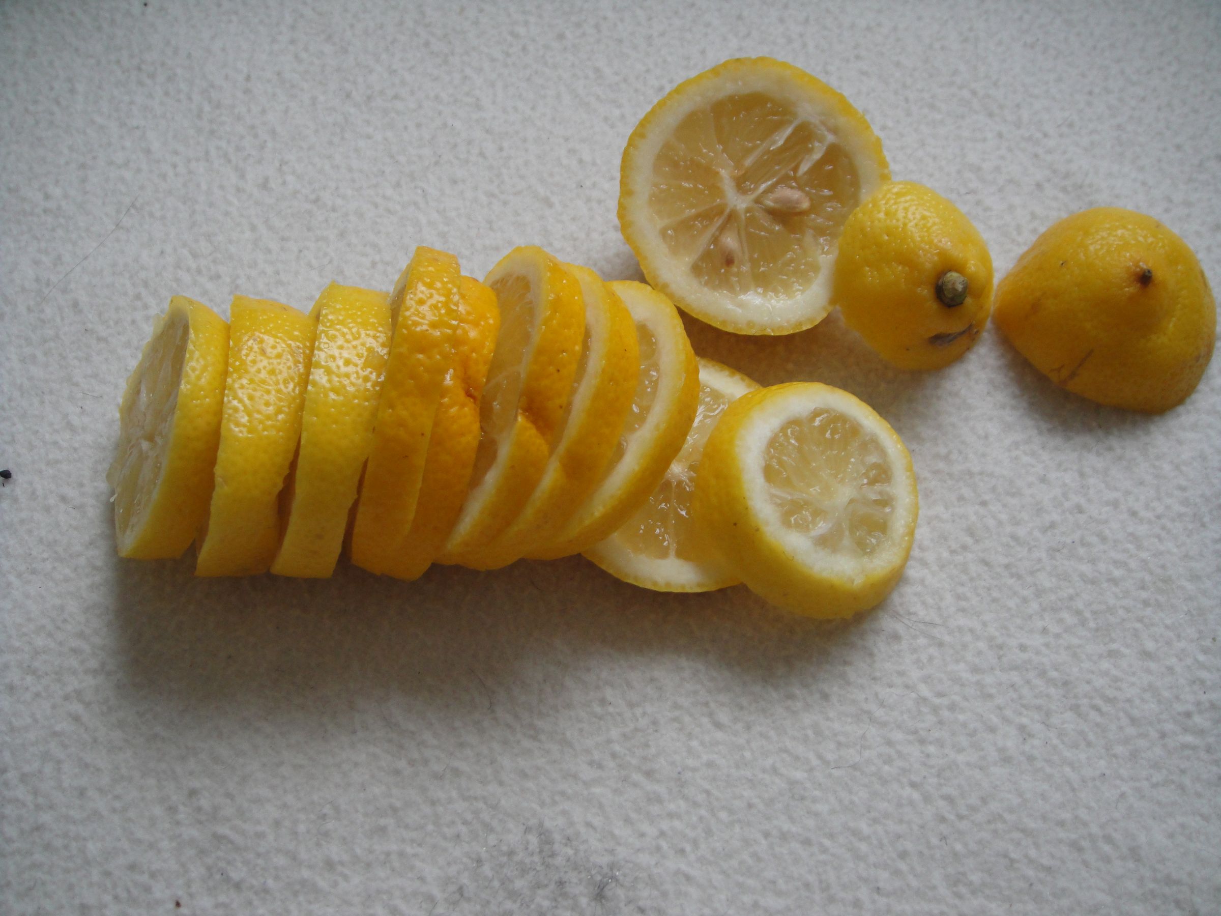 Lemon Flashlight, My Electro-culinary Dish! : 9 Steps (with Pictures ...