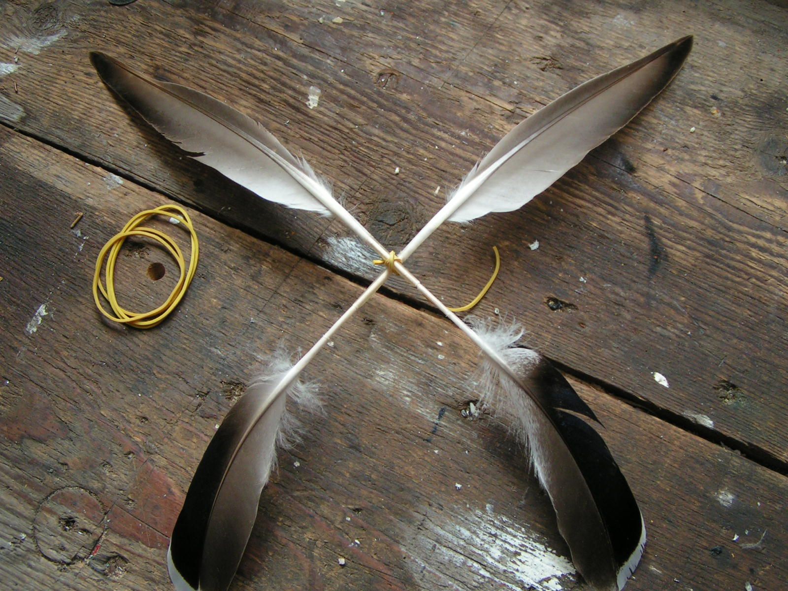 The Feather Kite: an Experiment in Progress. : 5 Steps - Instructables
