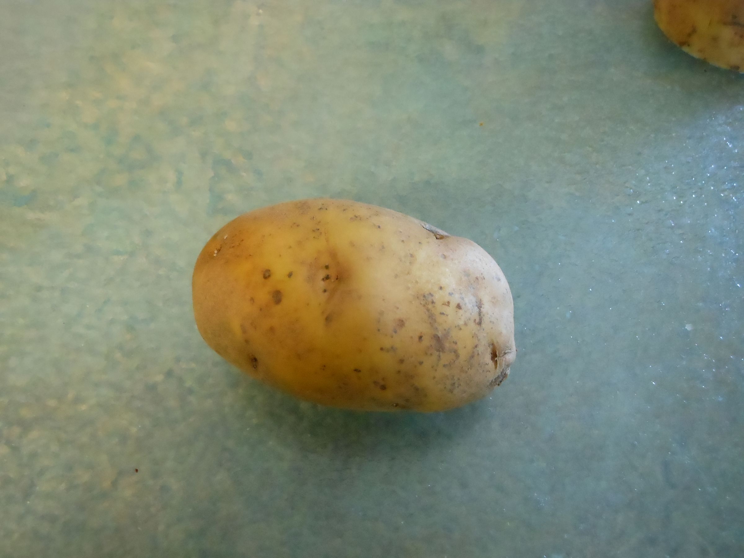 Potato Battery Driven LED : 15 Steps (with Pictures) - Instructables