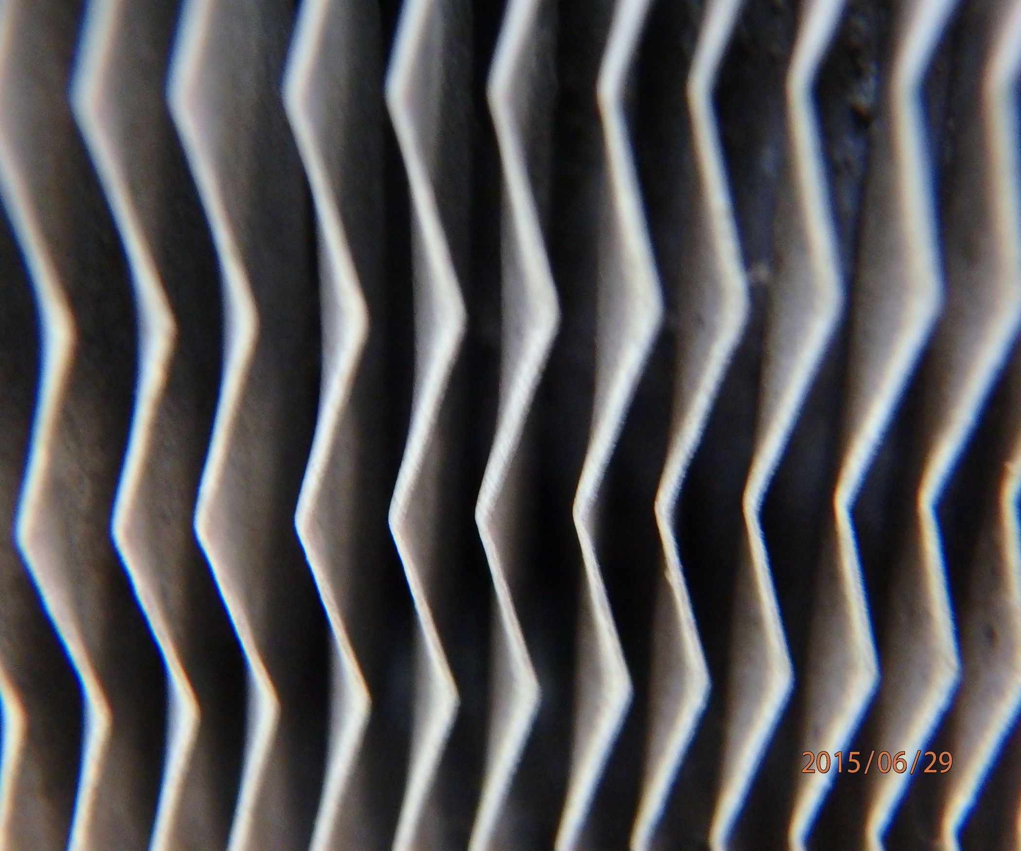 Shooting Macro Photos : 6 Steps (with Pictures) - Instructables