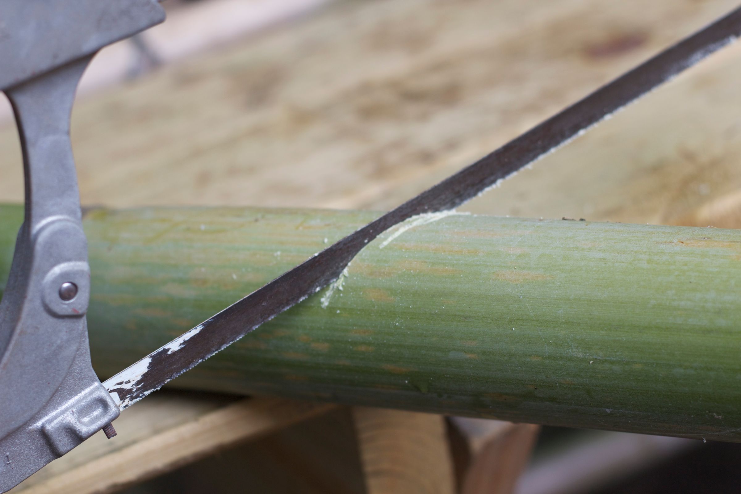 Clean, Chic Bamboo Cups : 6 Steps (with Pictures) - Instructables