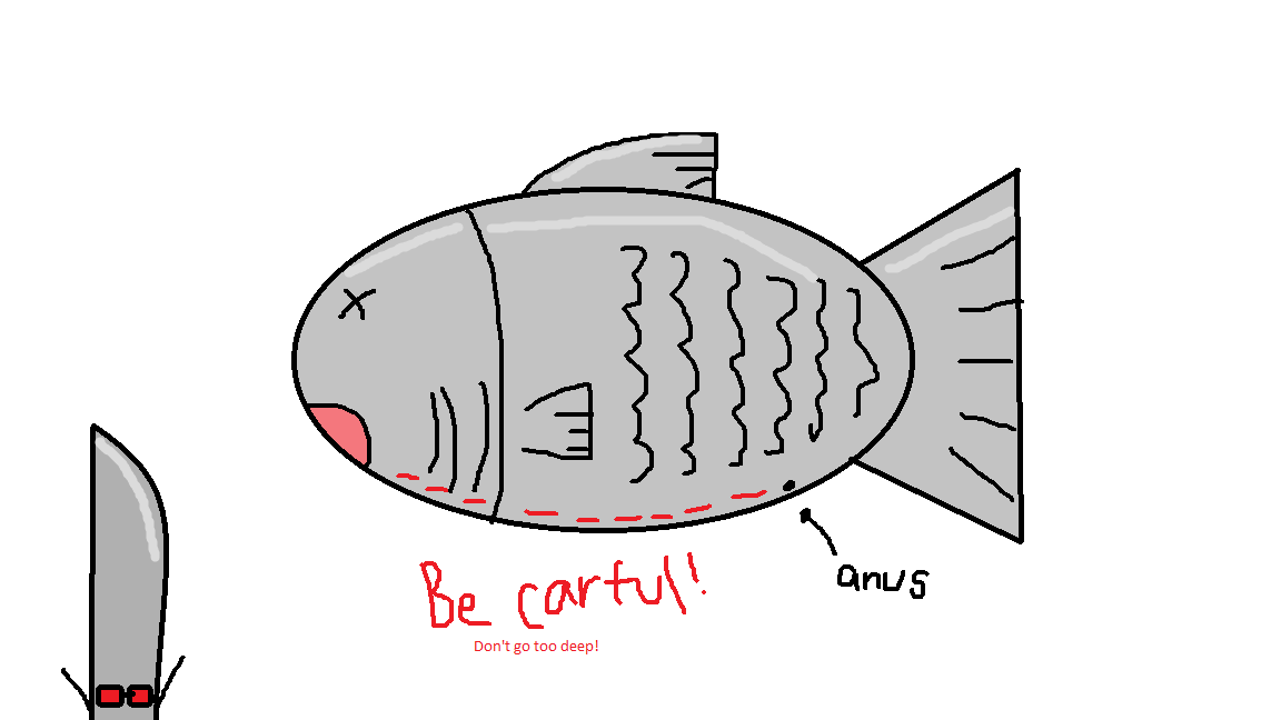 Dissect a Fish!!!! : 3 Steps - Instructables