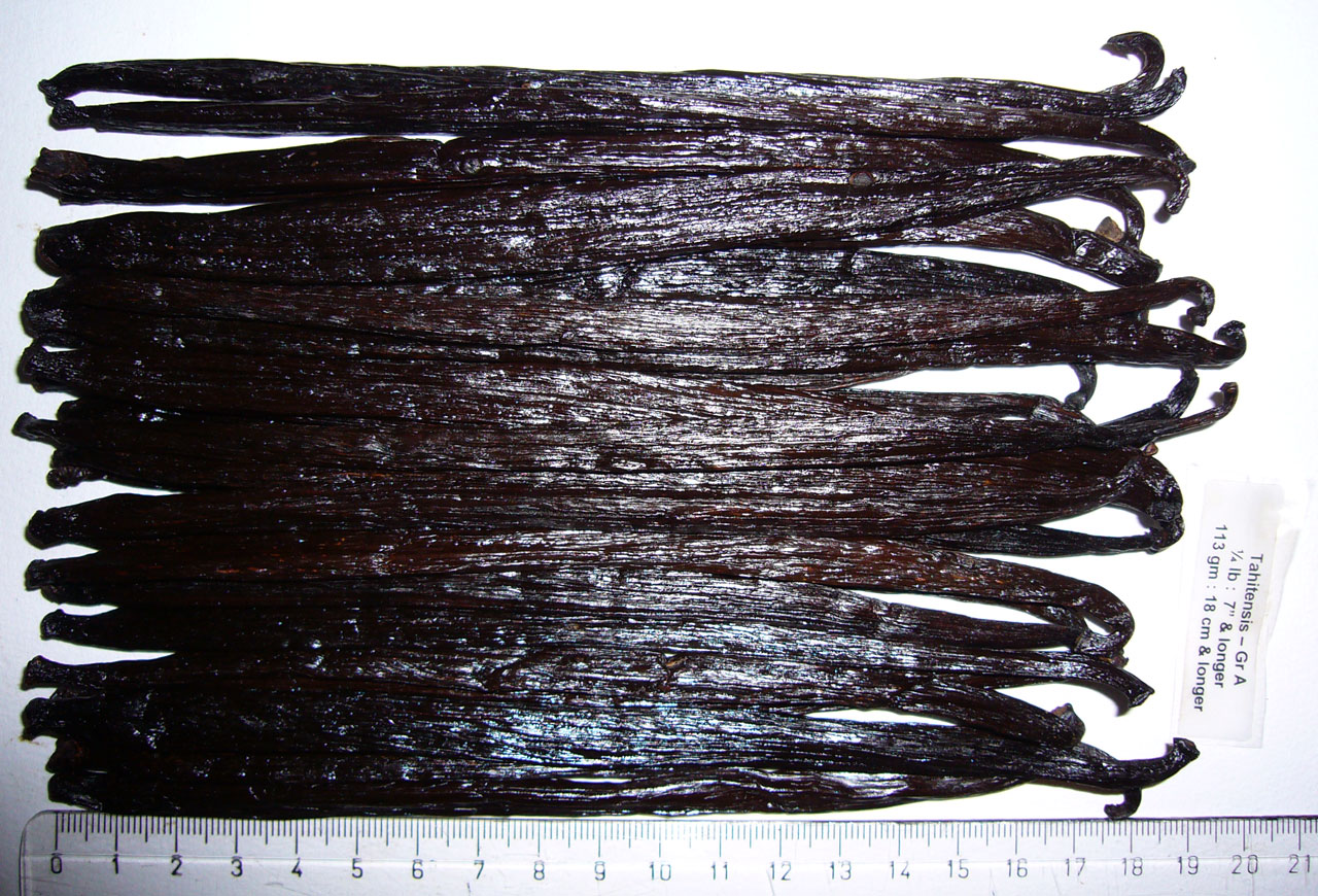 Make Vanilla Extract : 23 Steps (with Pictures) - Instructables