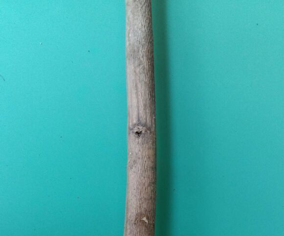 TT Ball Picker : 9 Steps (with Pictures) - Instructables