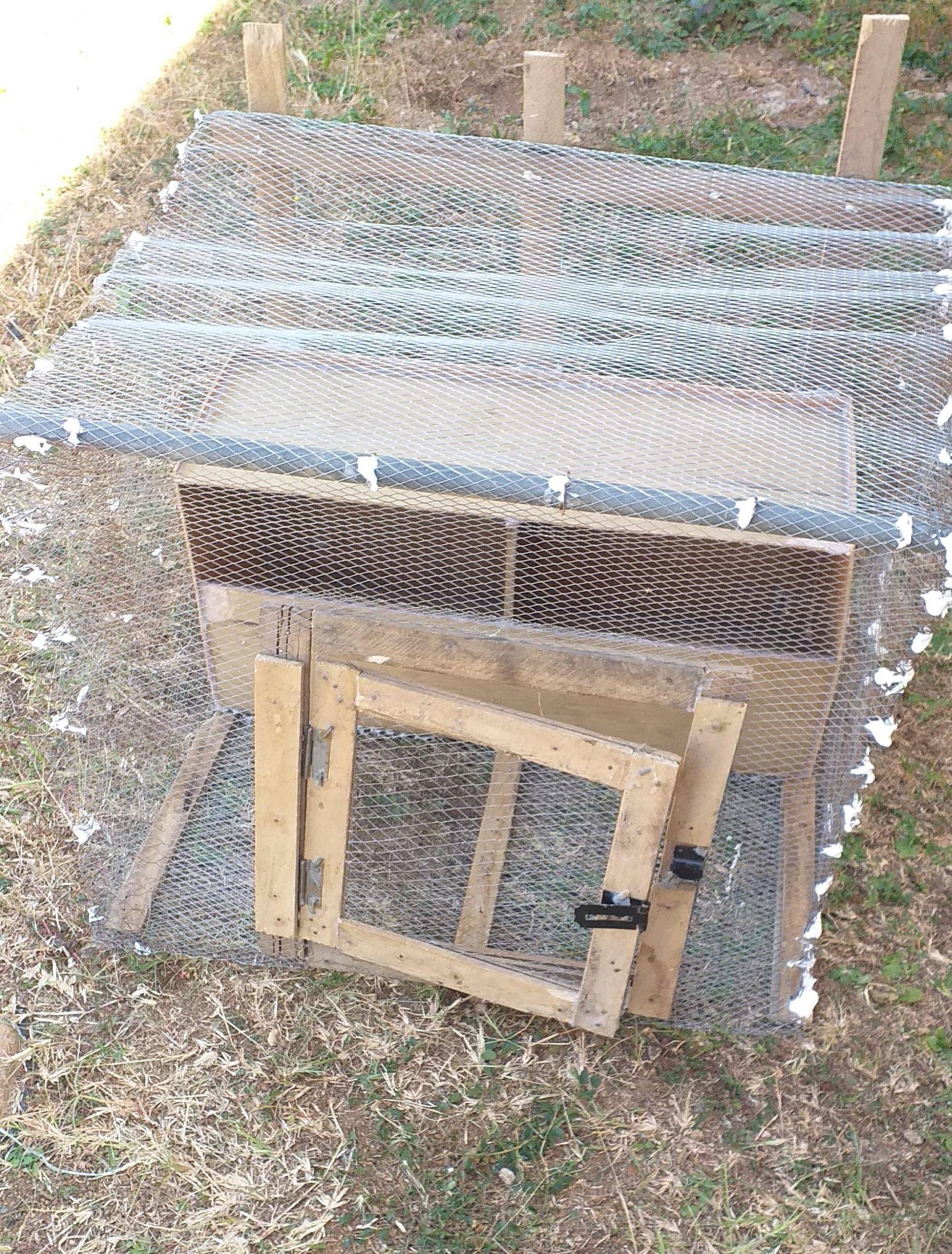 Pigeon House : 8 Steps (with Pictures) - Instructables