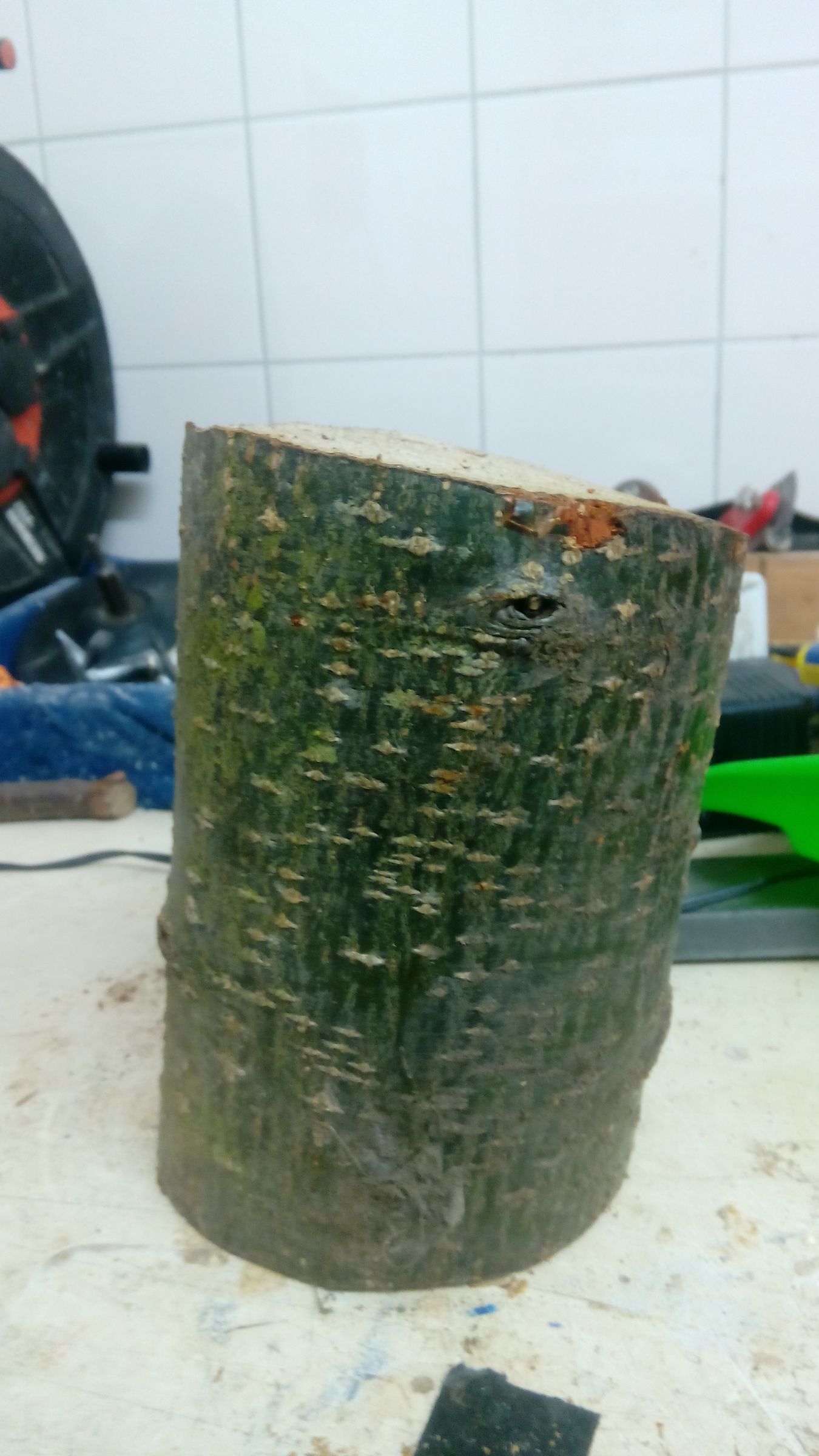 Tree Trunk Trivet (for Starters or Kids) : 4 Steps (with Pictures ...