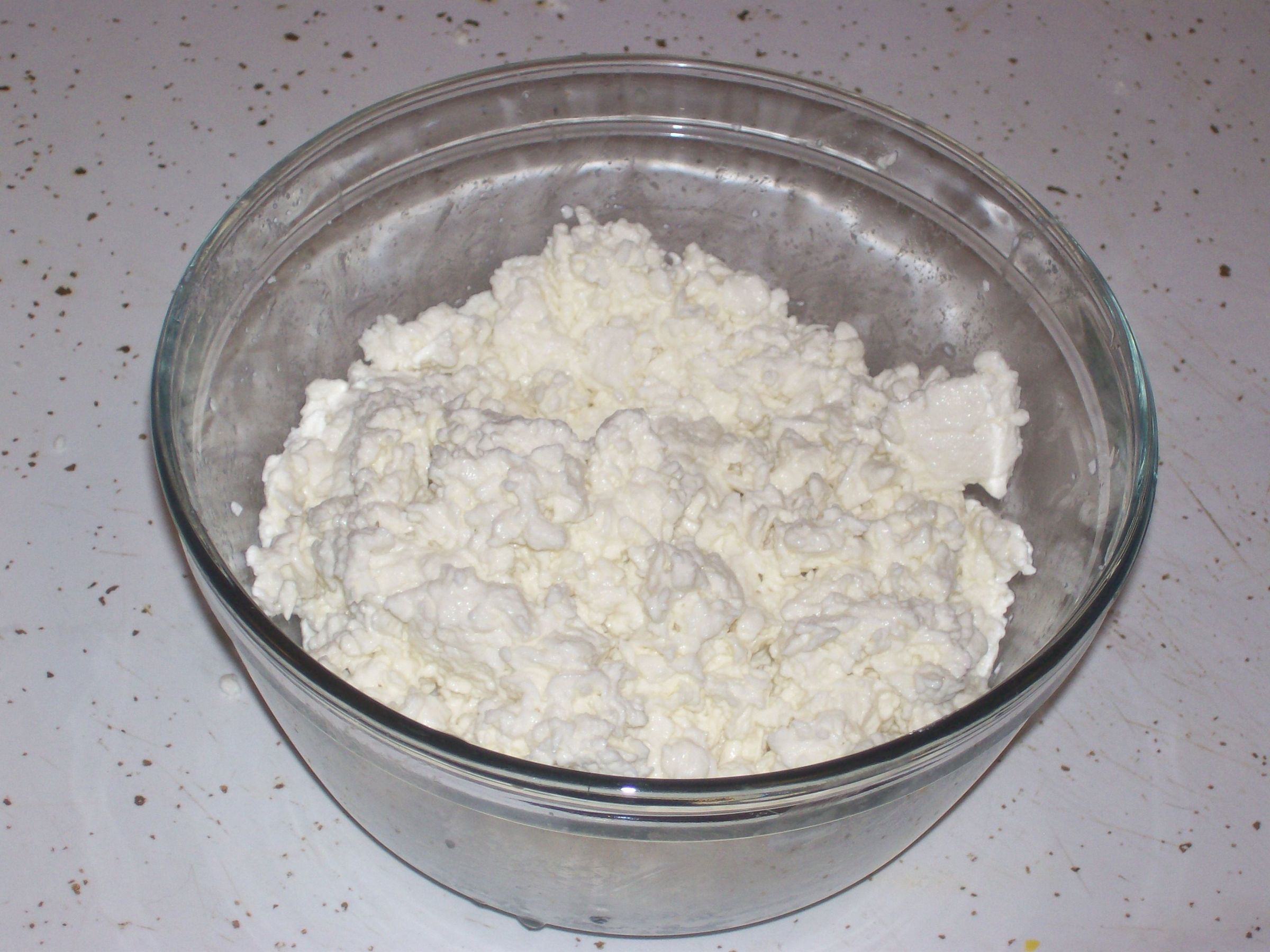 How to Make Great Fresh Mozzarella Cheese : 19 Steps (with Pictures ...