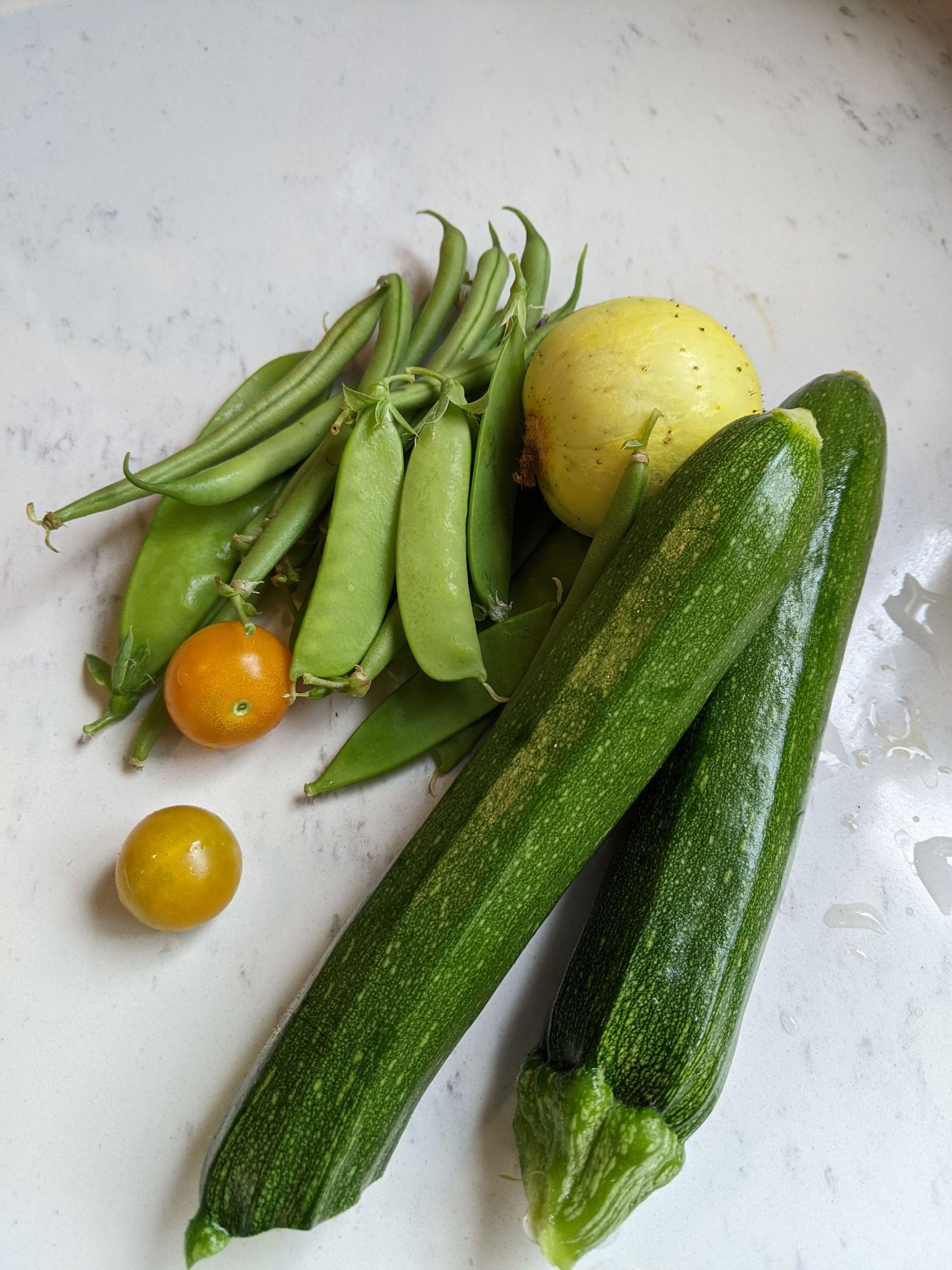 DIY: Transforming My Front Yard From Grass to a Vegetable Garden : 8 ...