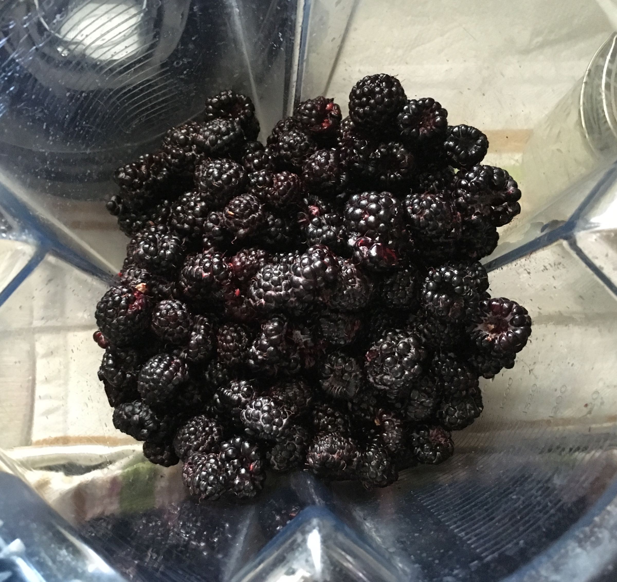 Seedless Black Raspberry Jam : 4 Steps (with Pictures) - Instructables