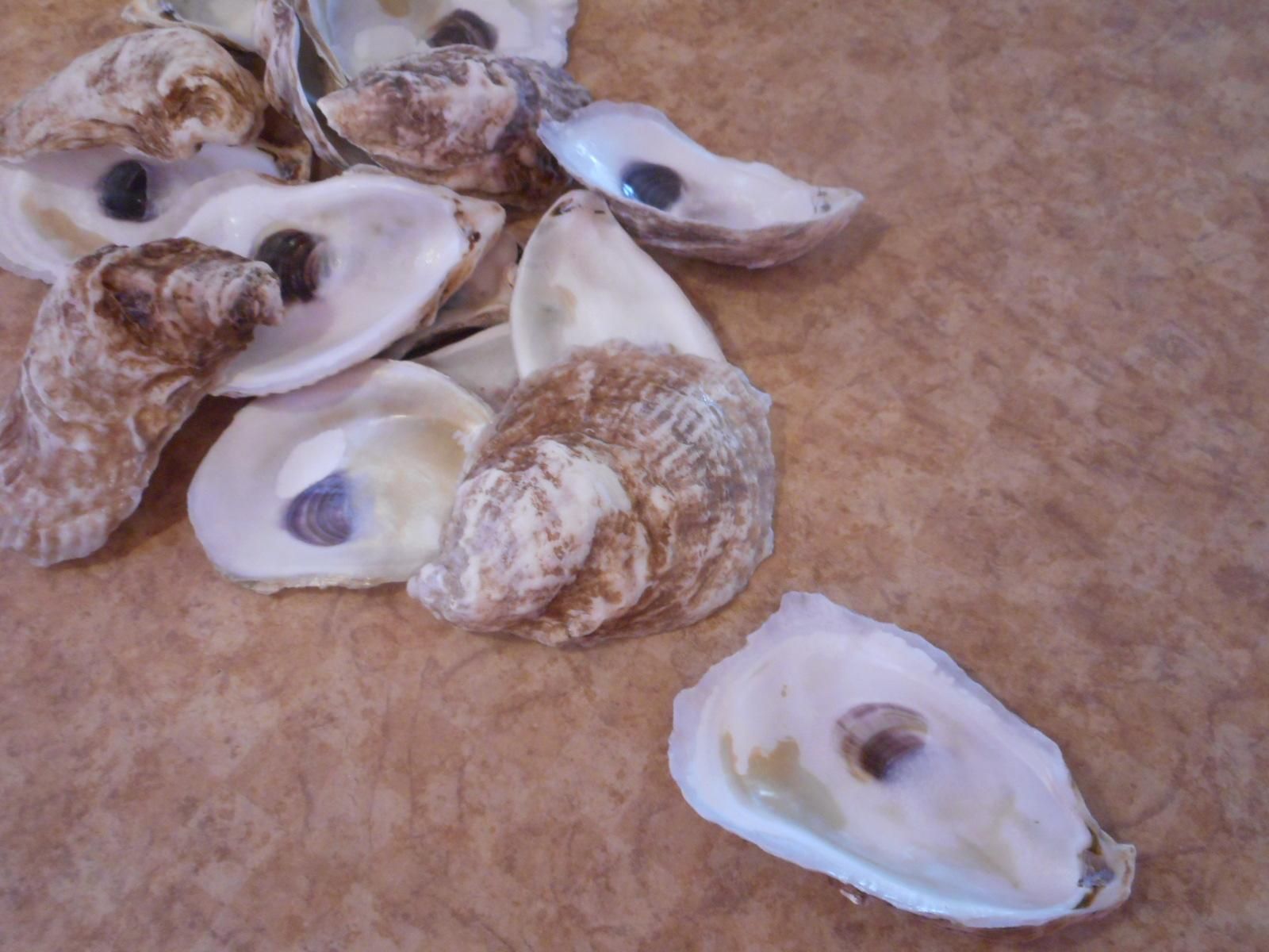 Oyster Shell Name Pins (or Place Cards) : 6 Steps - Instructables