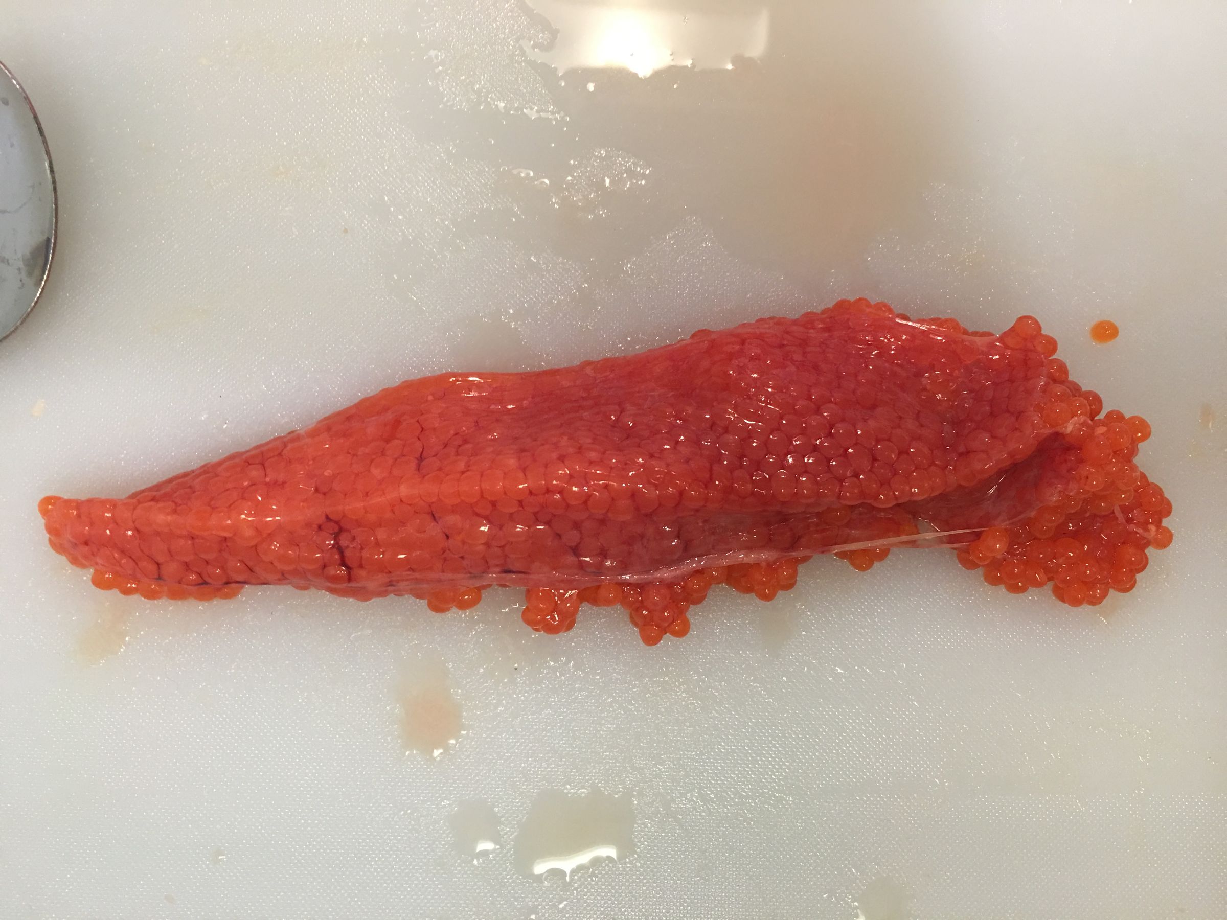 Making Salmon Roe Caviar : 13 Steps (with Pictures) - Instructables