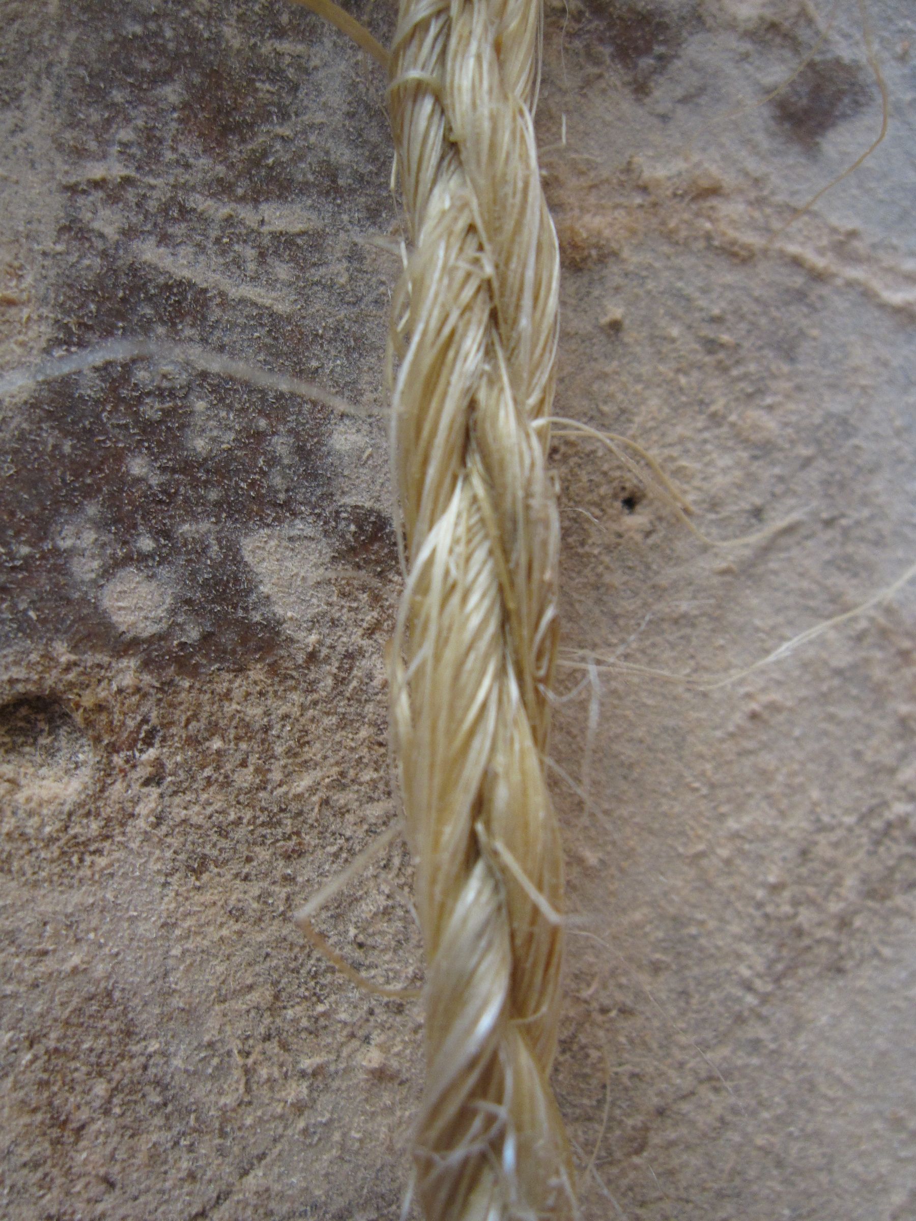 English Longbow : 7 Steps (with Pictures) - Instructables