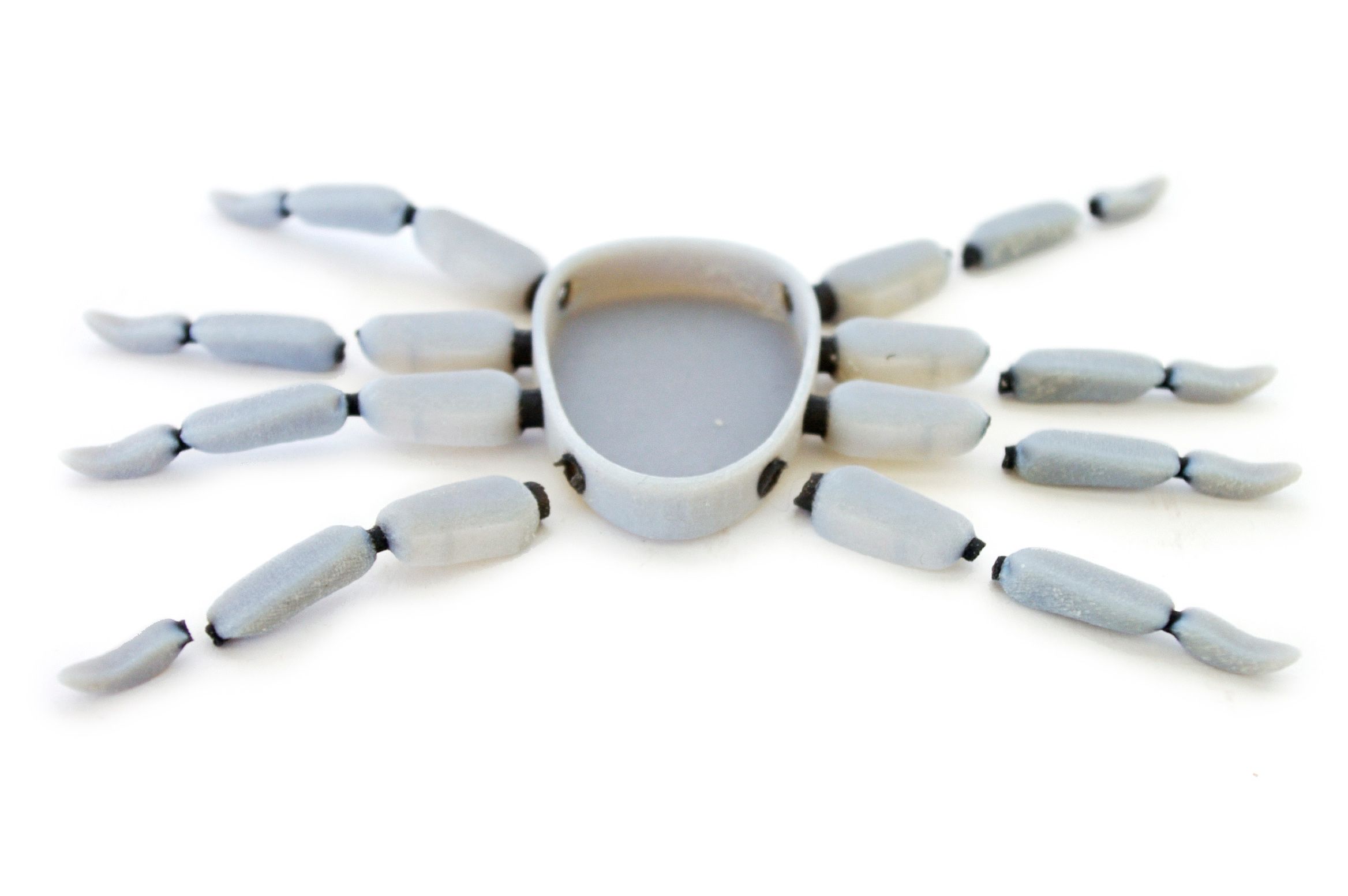 3D-Printed Biologically-Inspired Robotics : 44 Steps (with Pictures ...