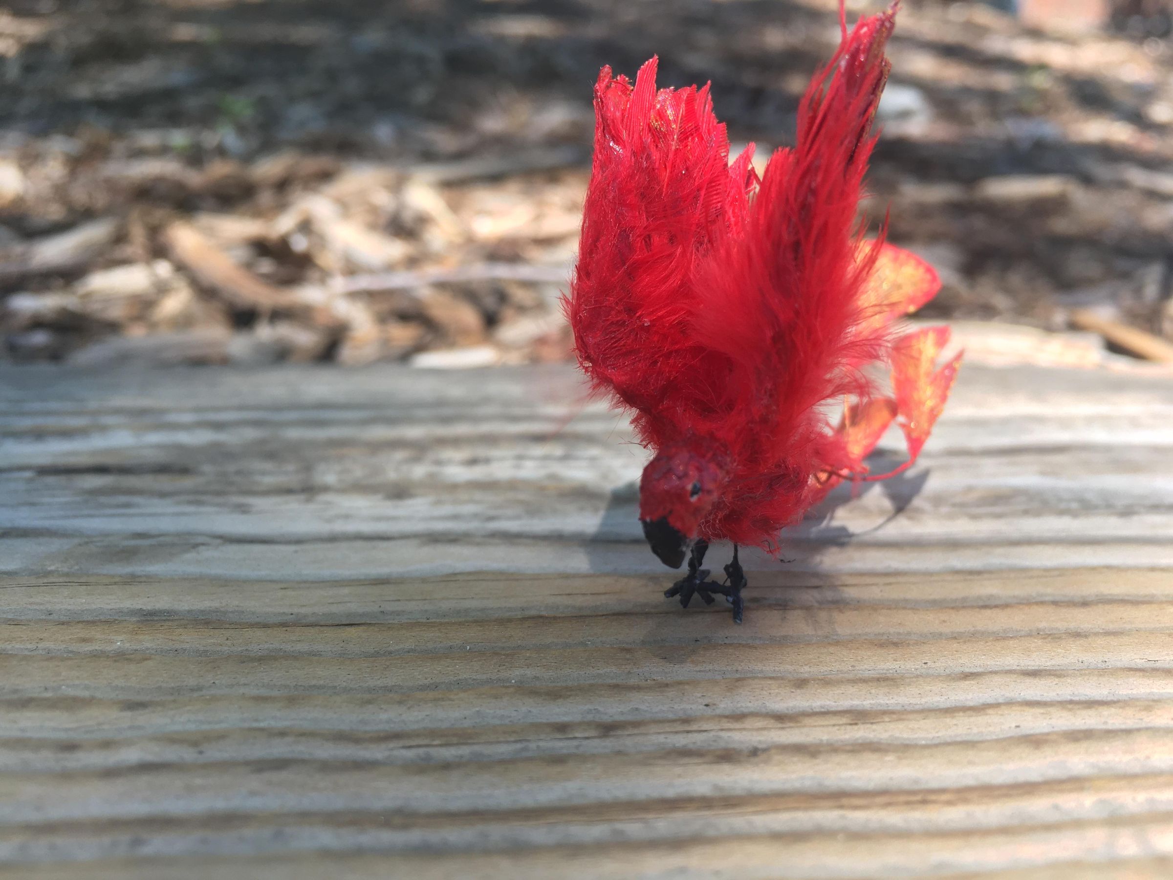 DIY Miniature Phoenix : 10 Steps (with Pictures) - Instructables